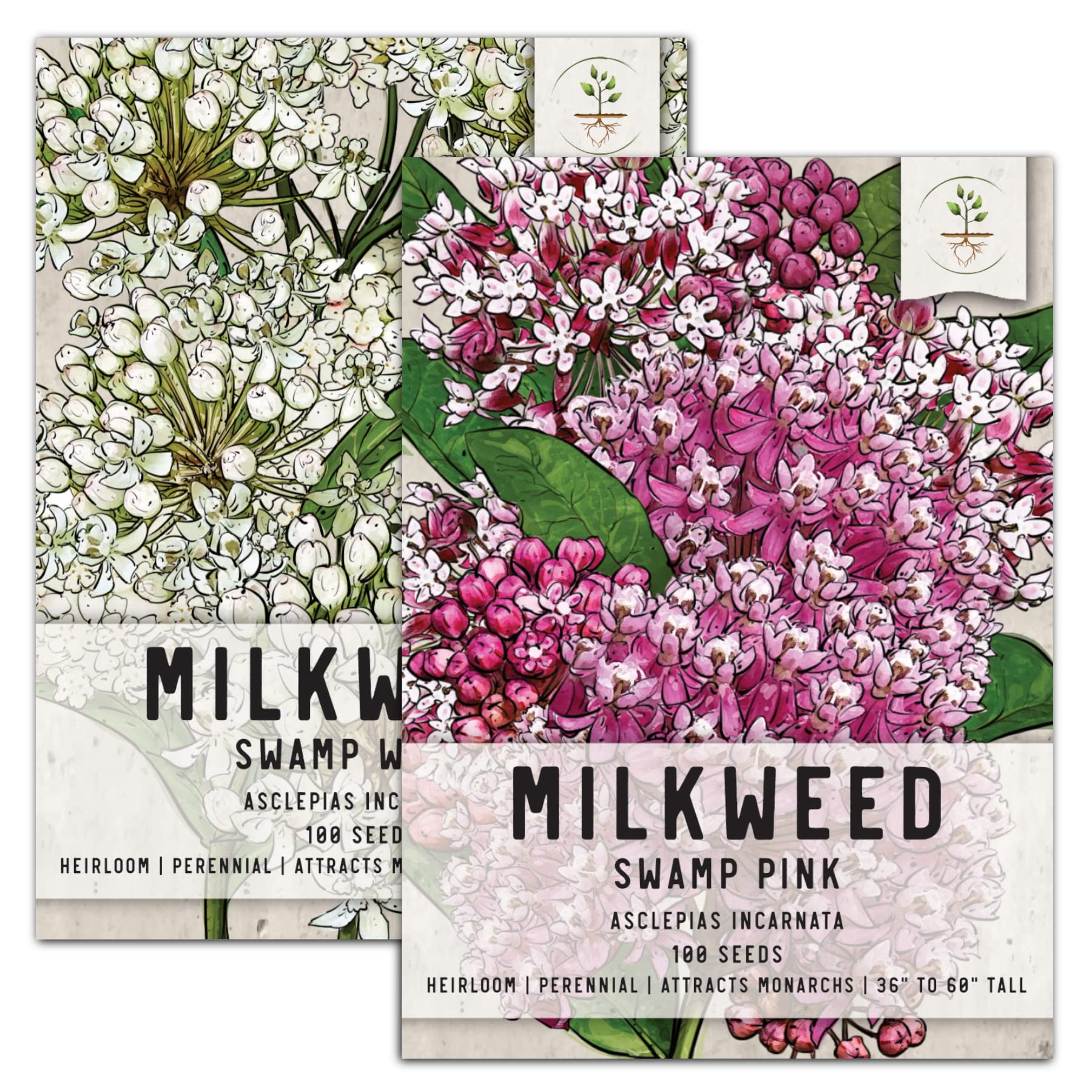 Seed Needs Milkweed TWE5 Seeds for Planting Swamp Milk Weed (Asclepias ...