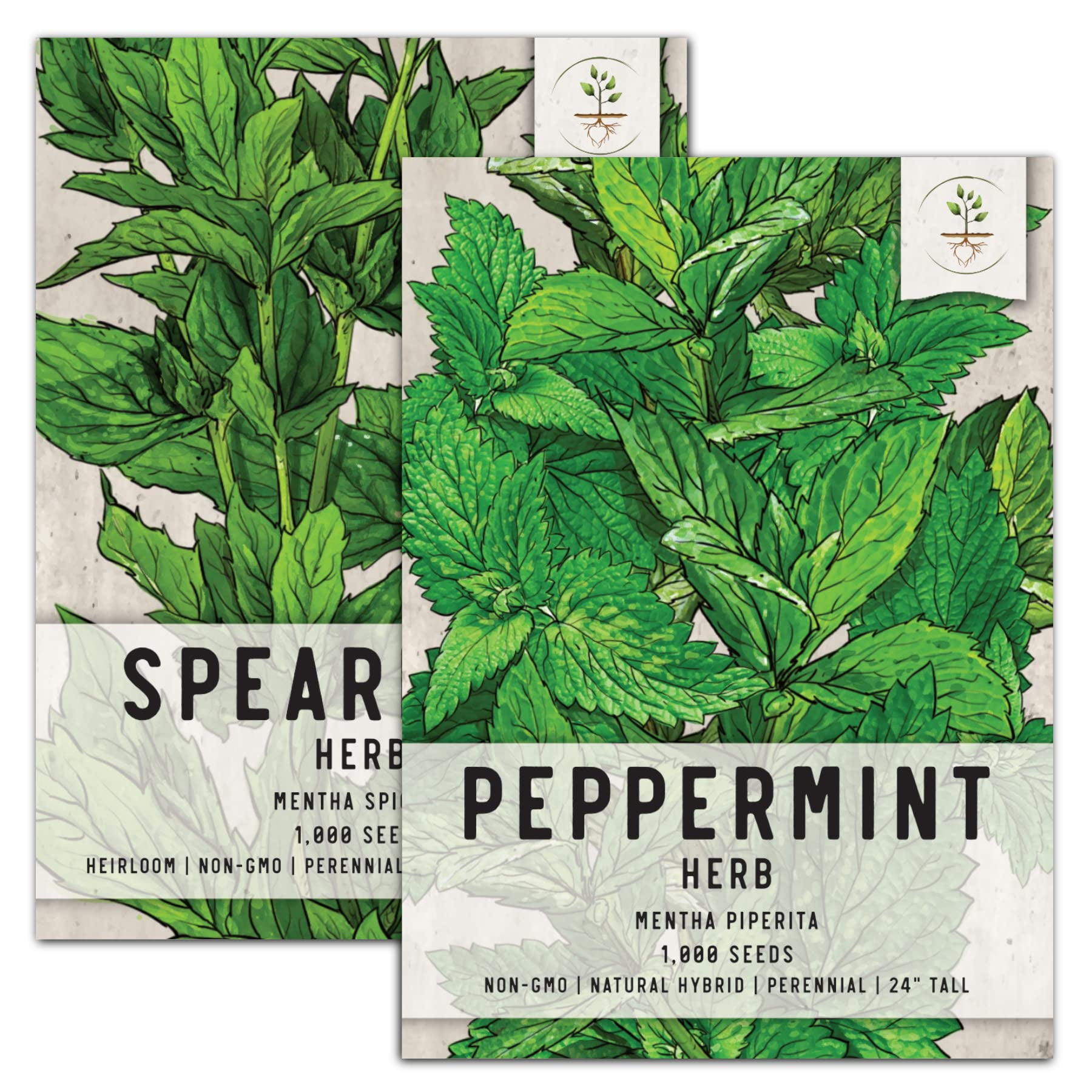 Seed Needs Mint Seeds for Planting Spearmint MHD1& Peppermint Herbs ...