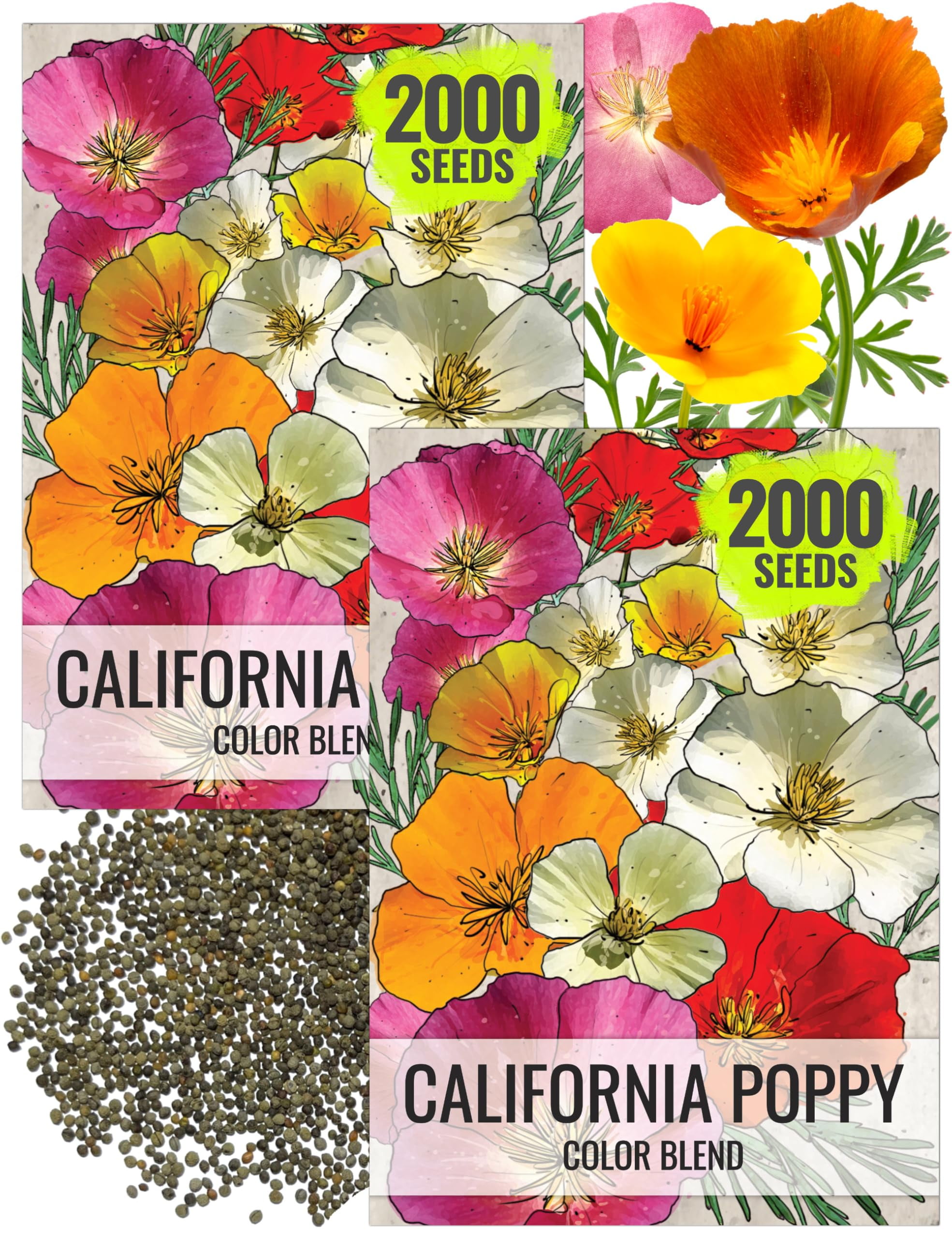 Seed Needs Mixed AJH3 California Poppy Seeds for Planting - Heirloom ...