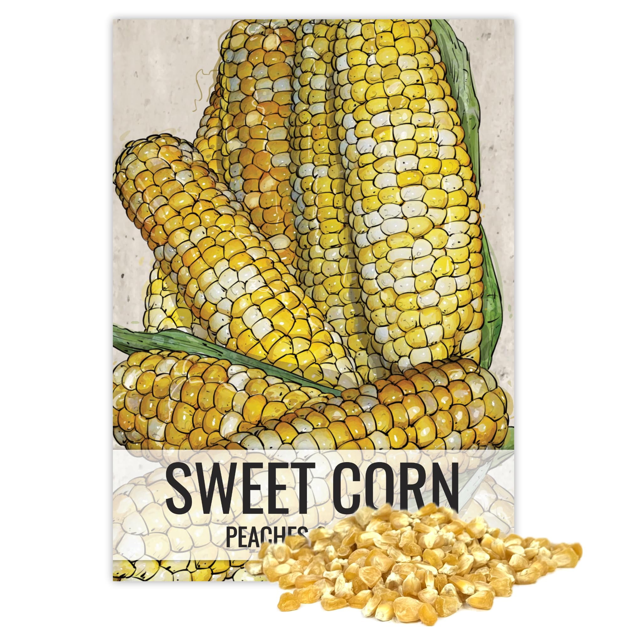 Seed Needs Peaches TWE5 and Cream Sweet Corn Seeds | 230+ Seeds Non GMO Hybrid Untreated Bicolor ...