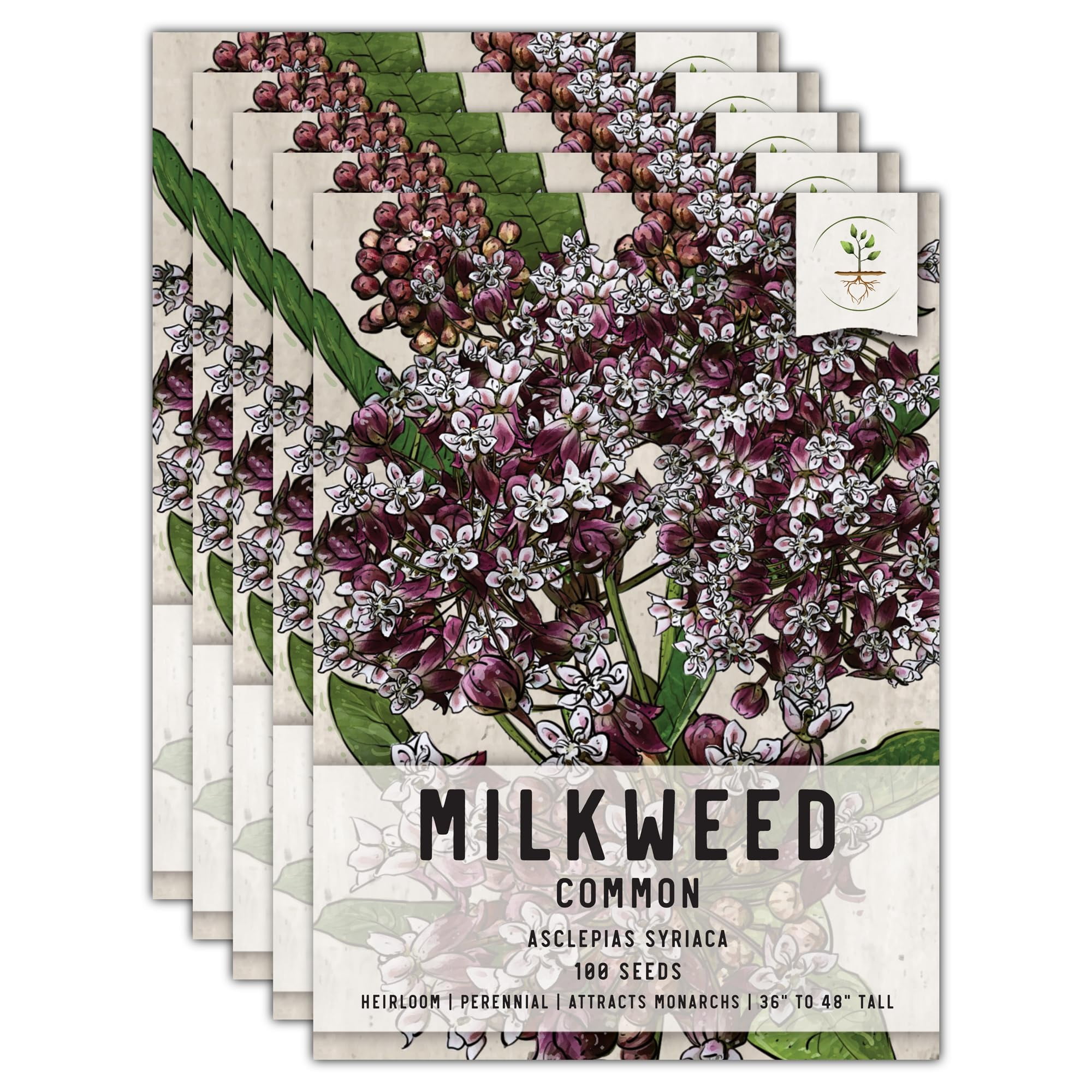 Seed Needs, PinkEGSC Common Milkweed Seeds - 100 Heirloom Seeds for ...