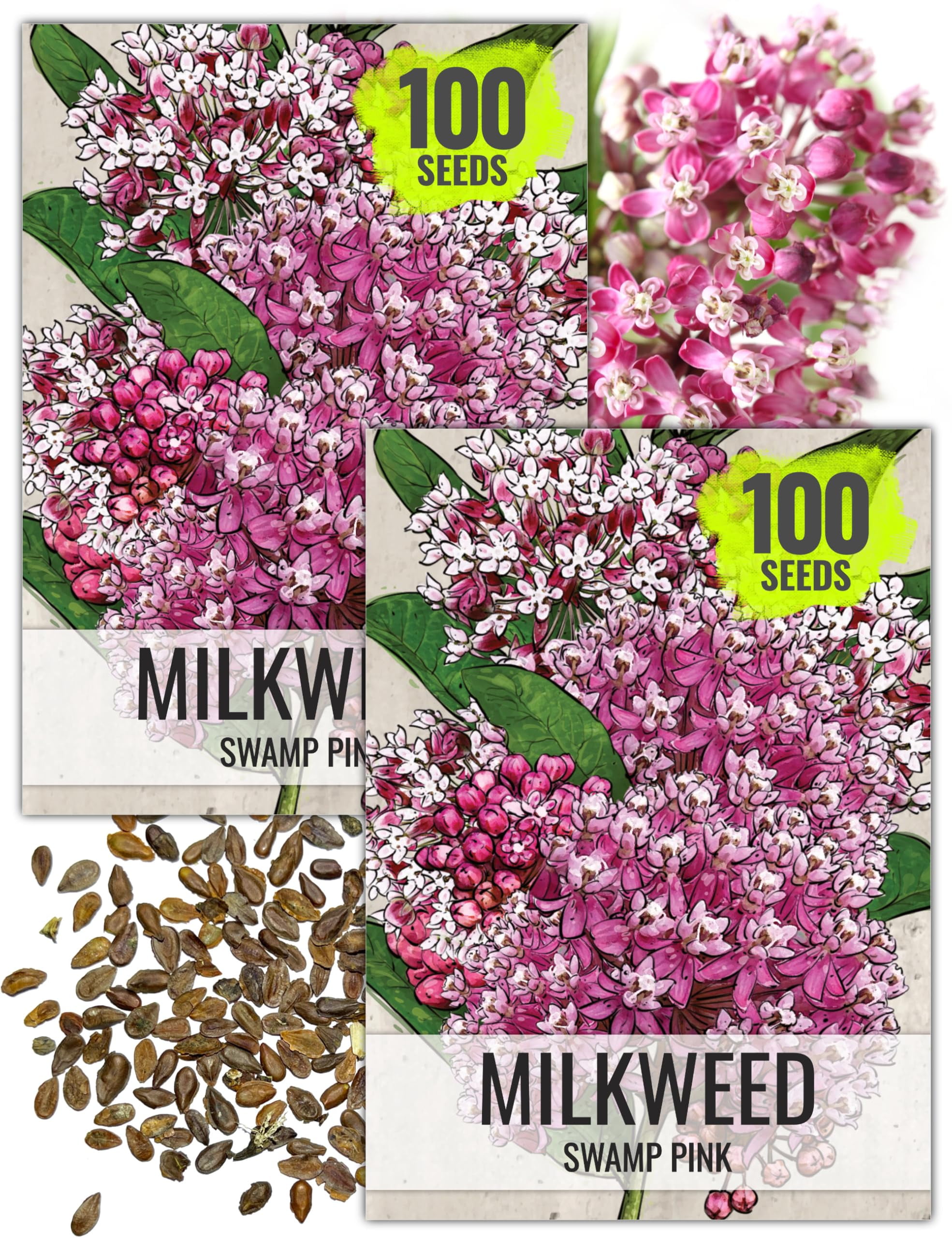 Seed Needs PinkUMRT Swamp Milkweed Seeds for Planting - Heirloom ...