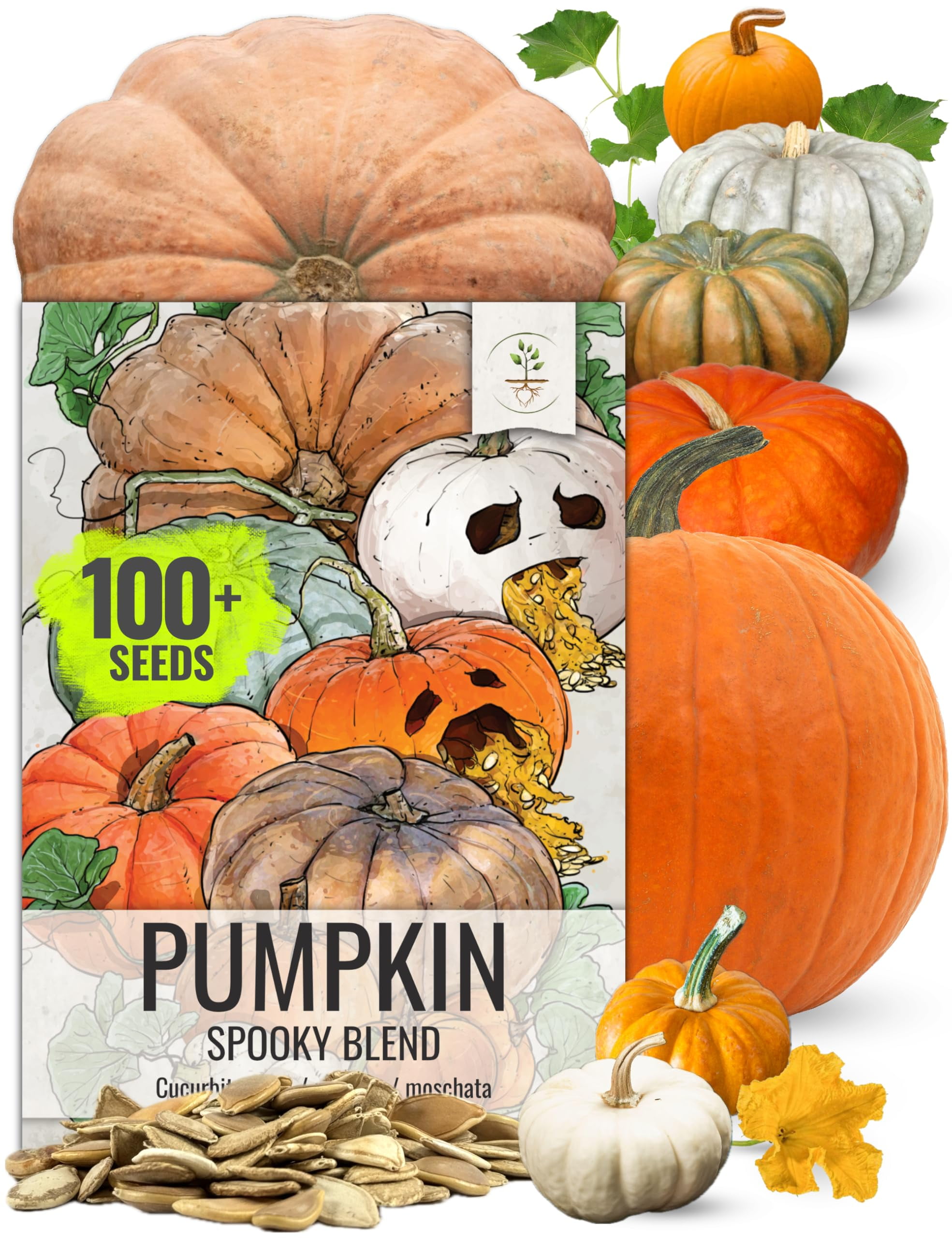 Seed Needs Pumpkin Seeds Specialty Spooky Blend MHD110+ Varieties ...