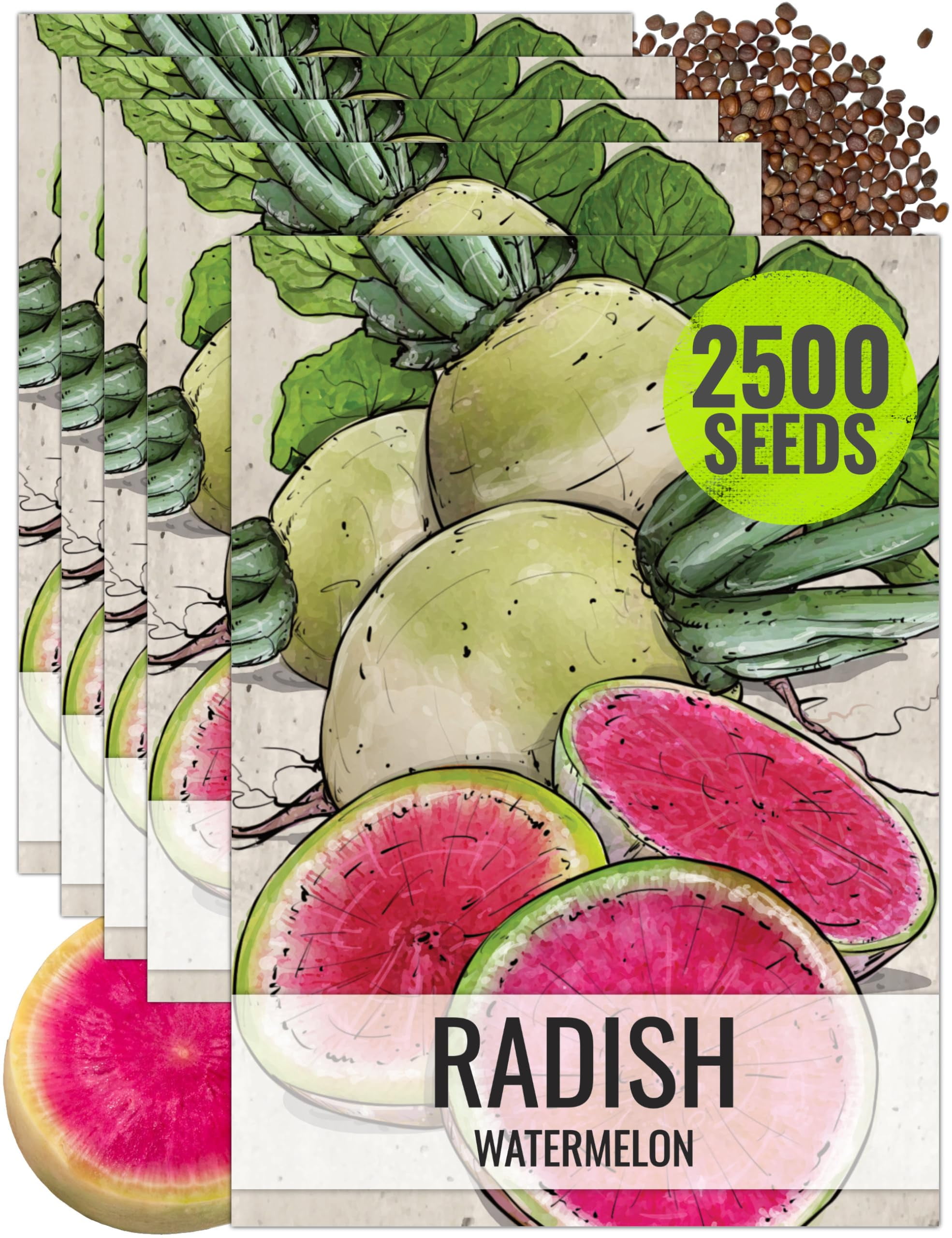 Seed Needs RadishEGSC Seeds for Planting Watermelon Radishes - Non-GMO ...