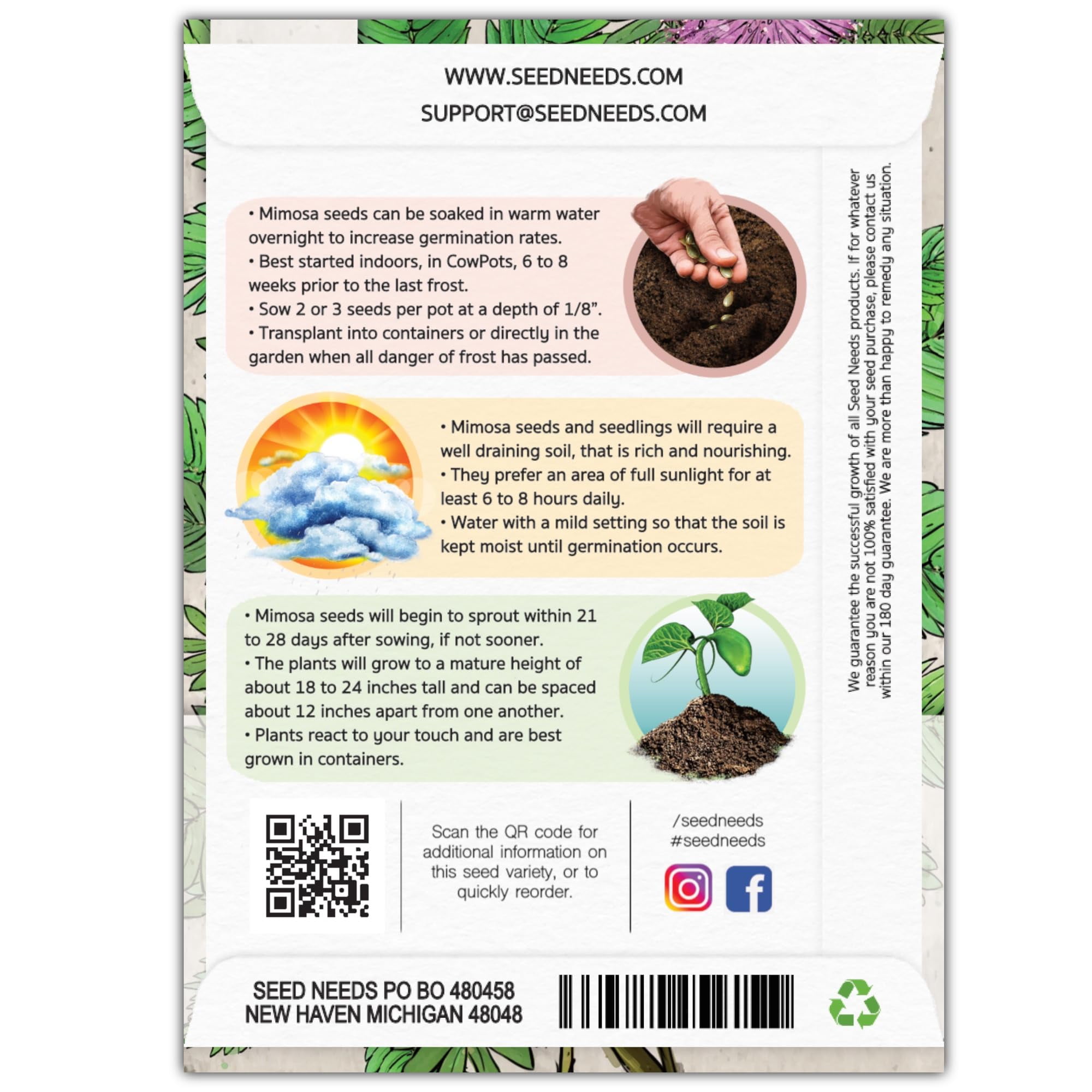 Seed Needs Sensitive FEV6 Plant Seeds for Planting Mimosa pudica - Heirloom & Open Pollinated ...