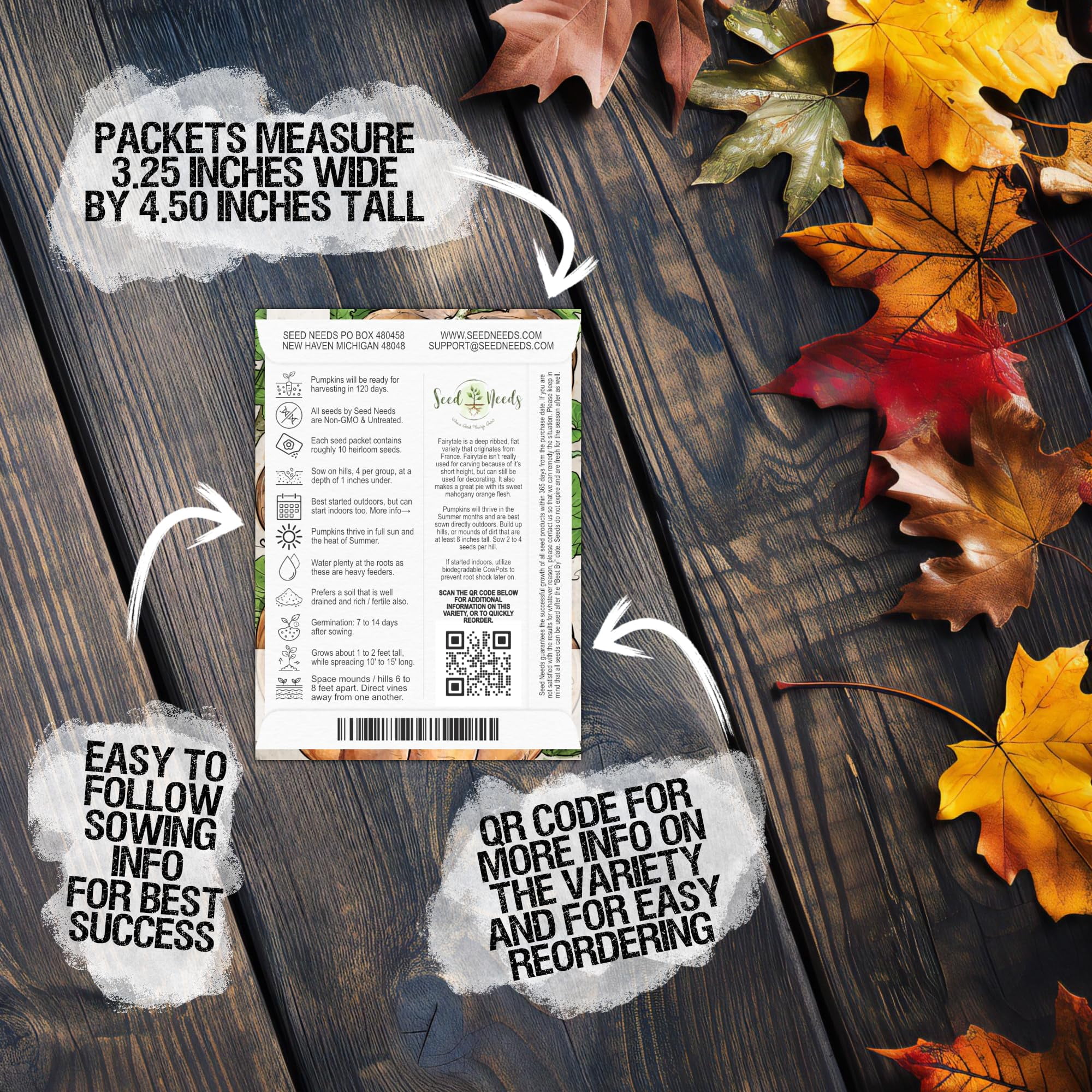 Seed Needs, Specialty FEV6 Pumpkin Seed Packet Collection (4 Individual ...