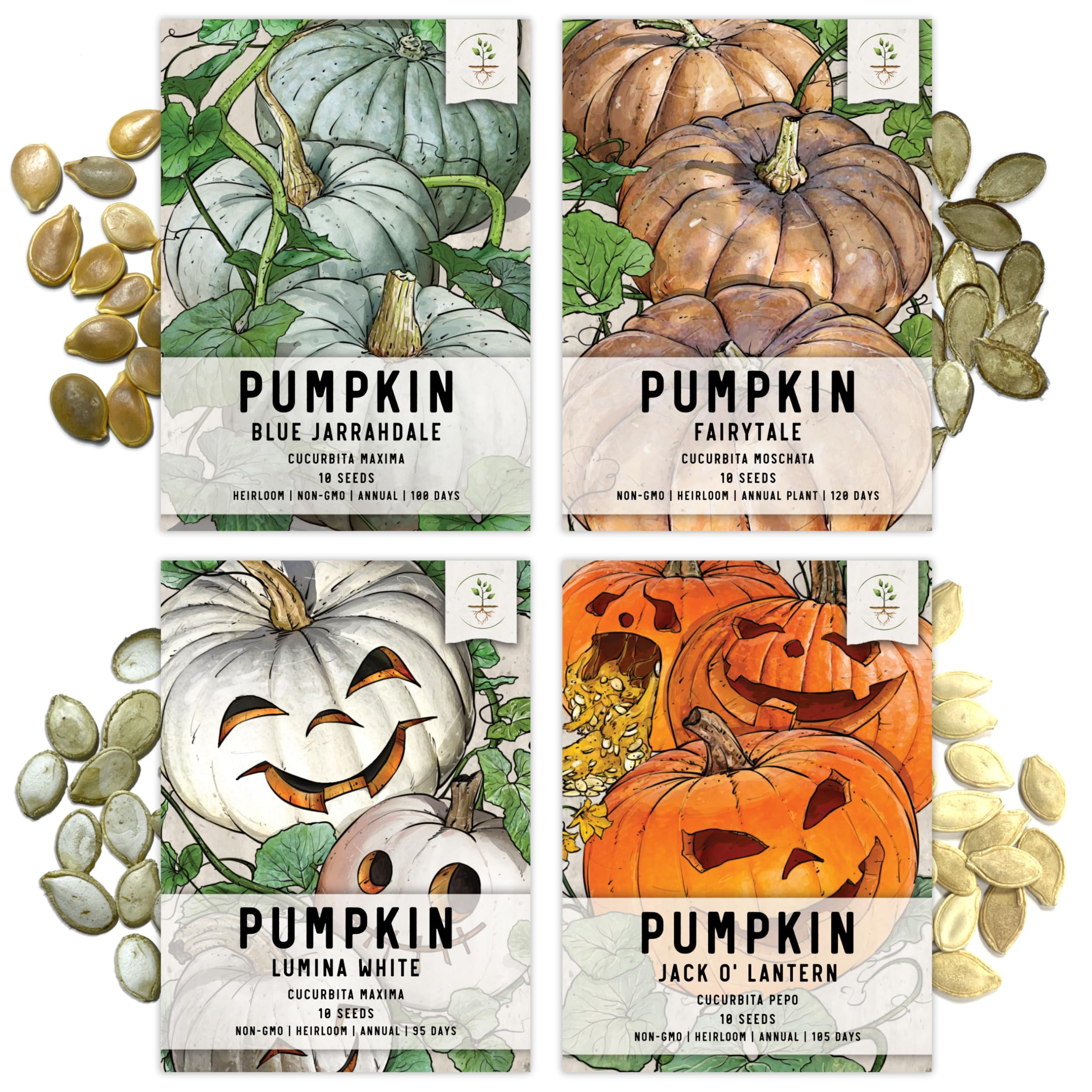 Seed Needs, Specialty Pumpkin Seed Packet Collection MHD1(4 Individual ...
