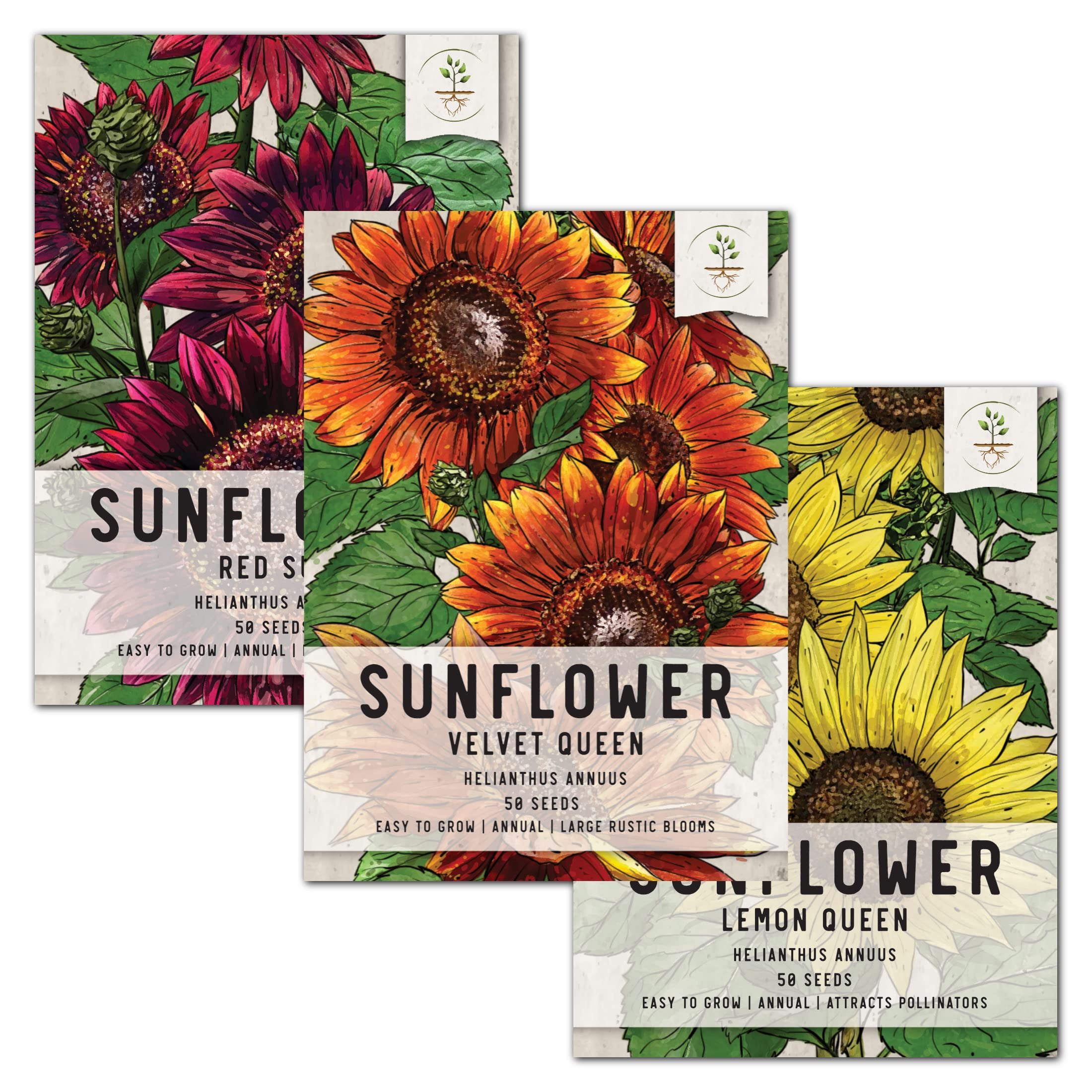 Seed Needs, Sunflower Seed Packet Variety BSL1 Collection (3 Individual ...