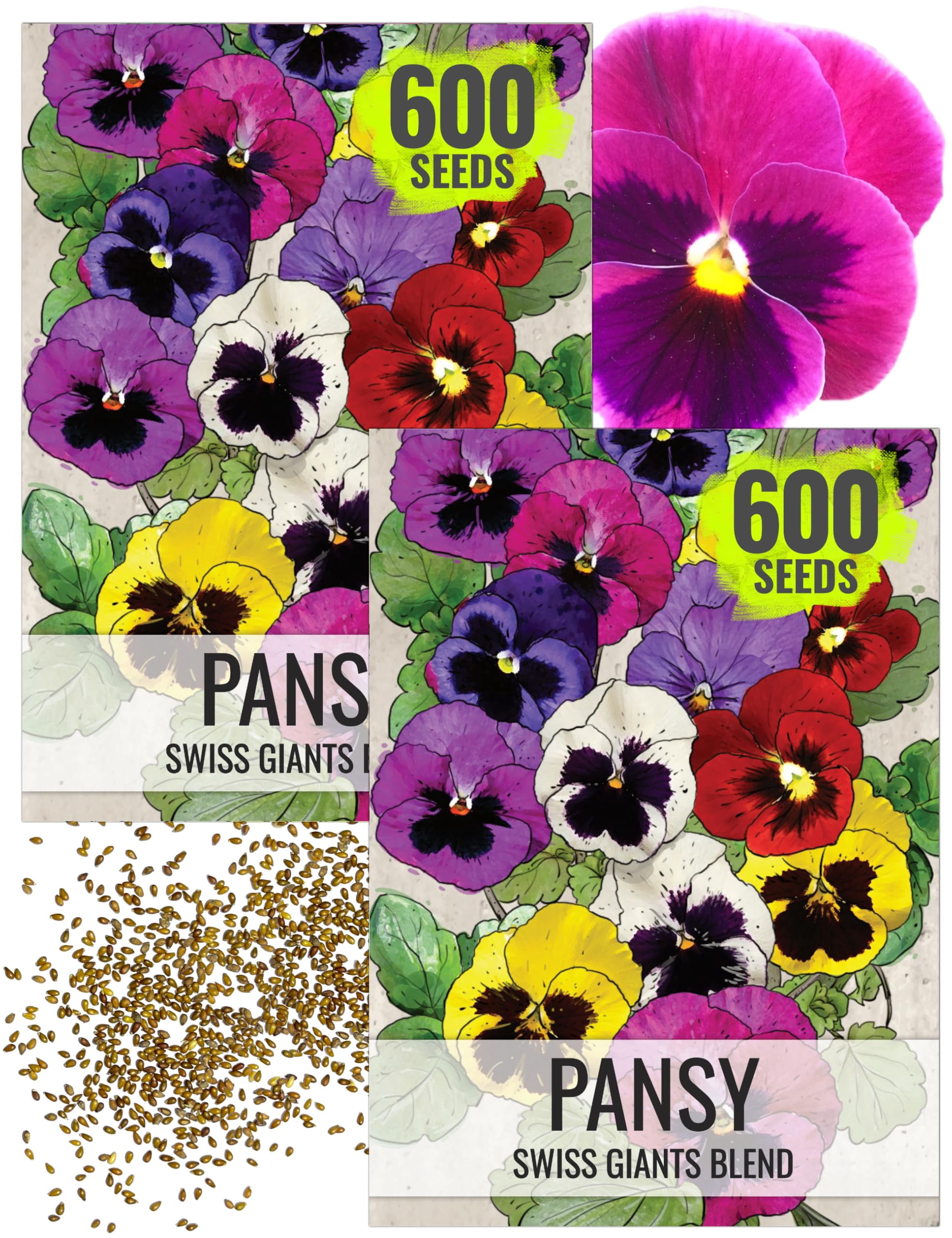 Seed Needs, SwissITSC Giants Pansy Seeds - 600 Heirloom Seeds for ...