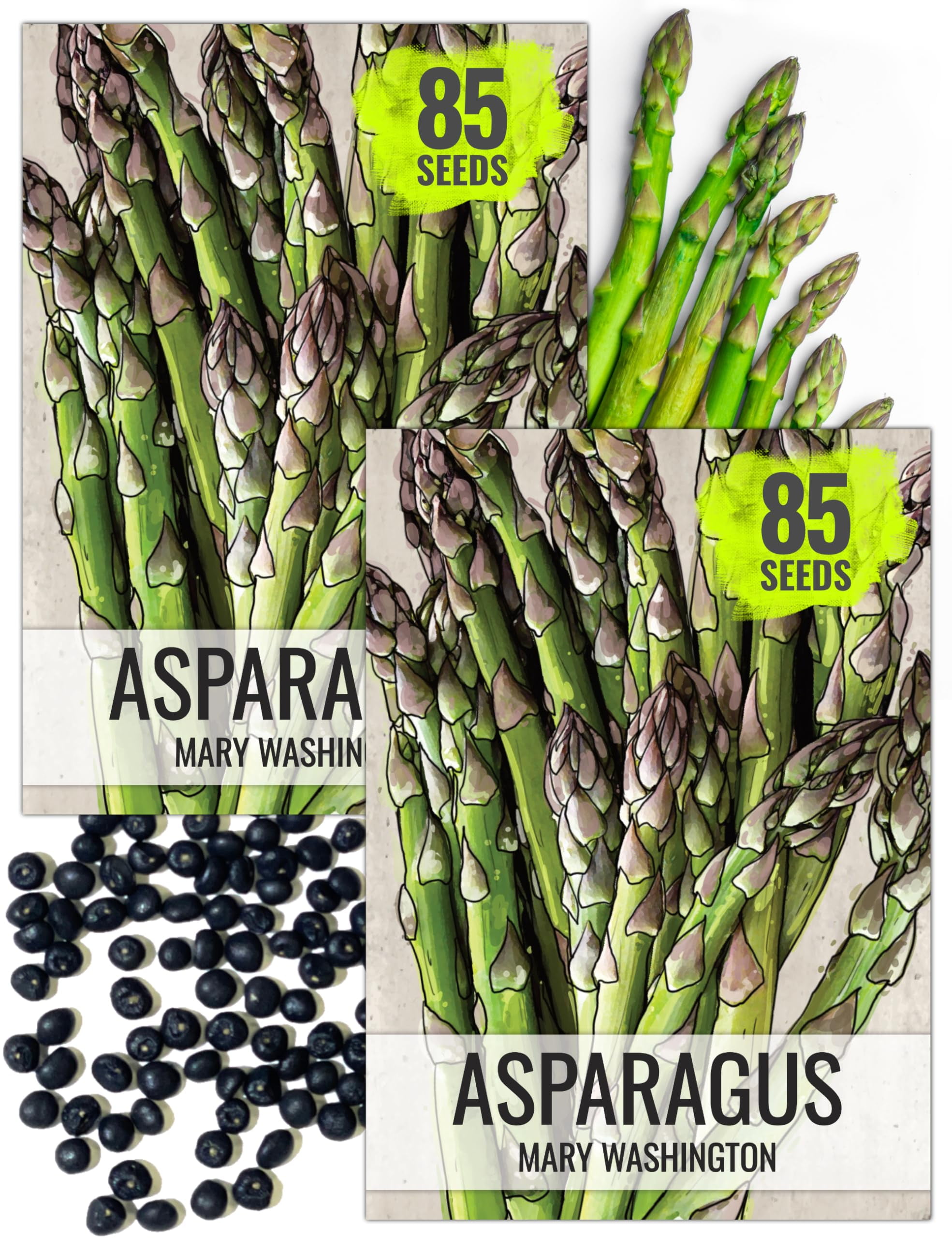 Seed Needs Vegetable Seeds for Planting Mary MHD1Washington Asparagus ...