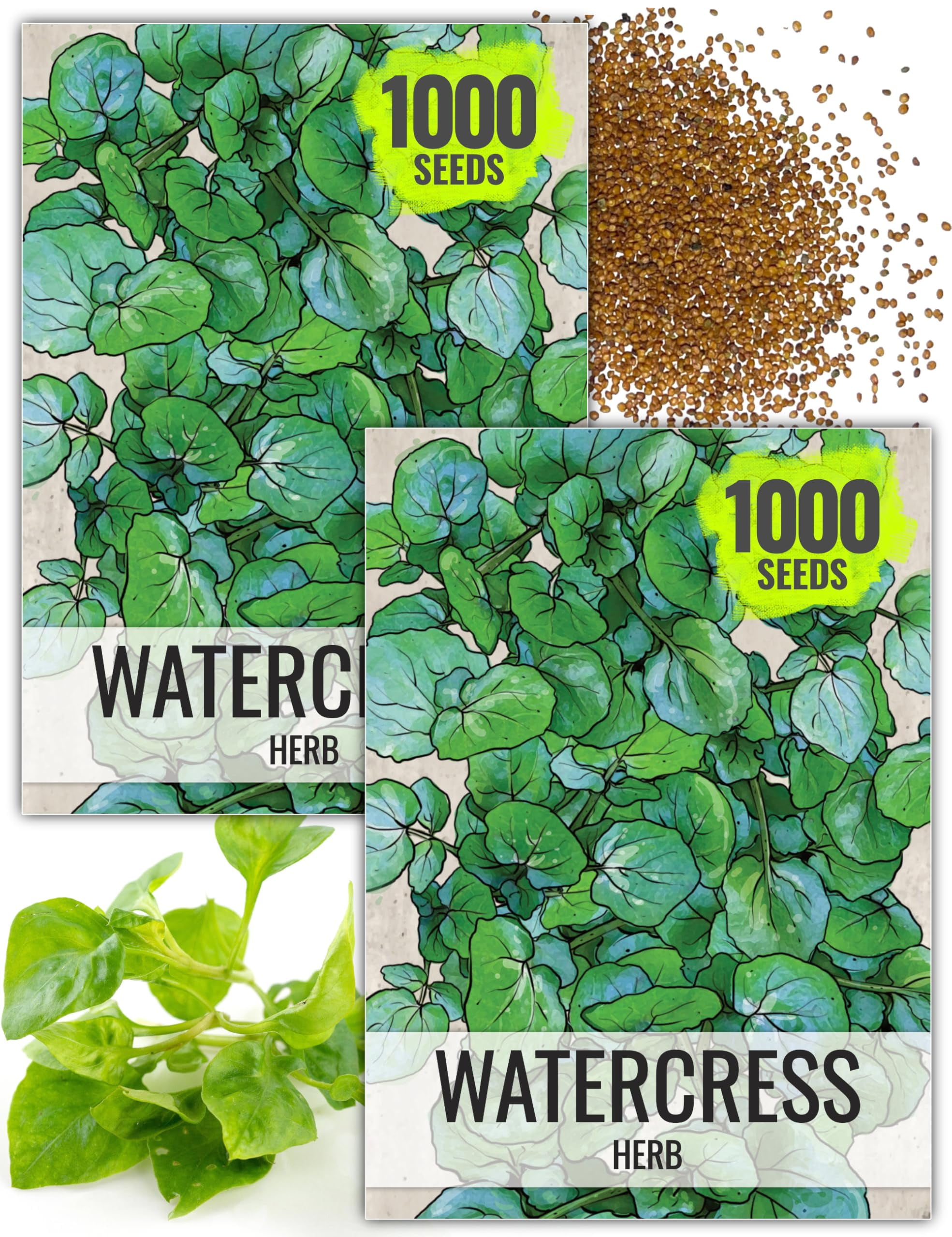 Seed Needs WatercressTRDN Seeds for Planting Nasturtium officinale - Non-GMO Heirloom ...