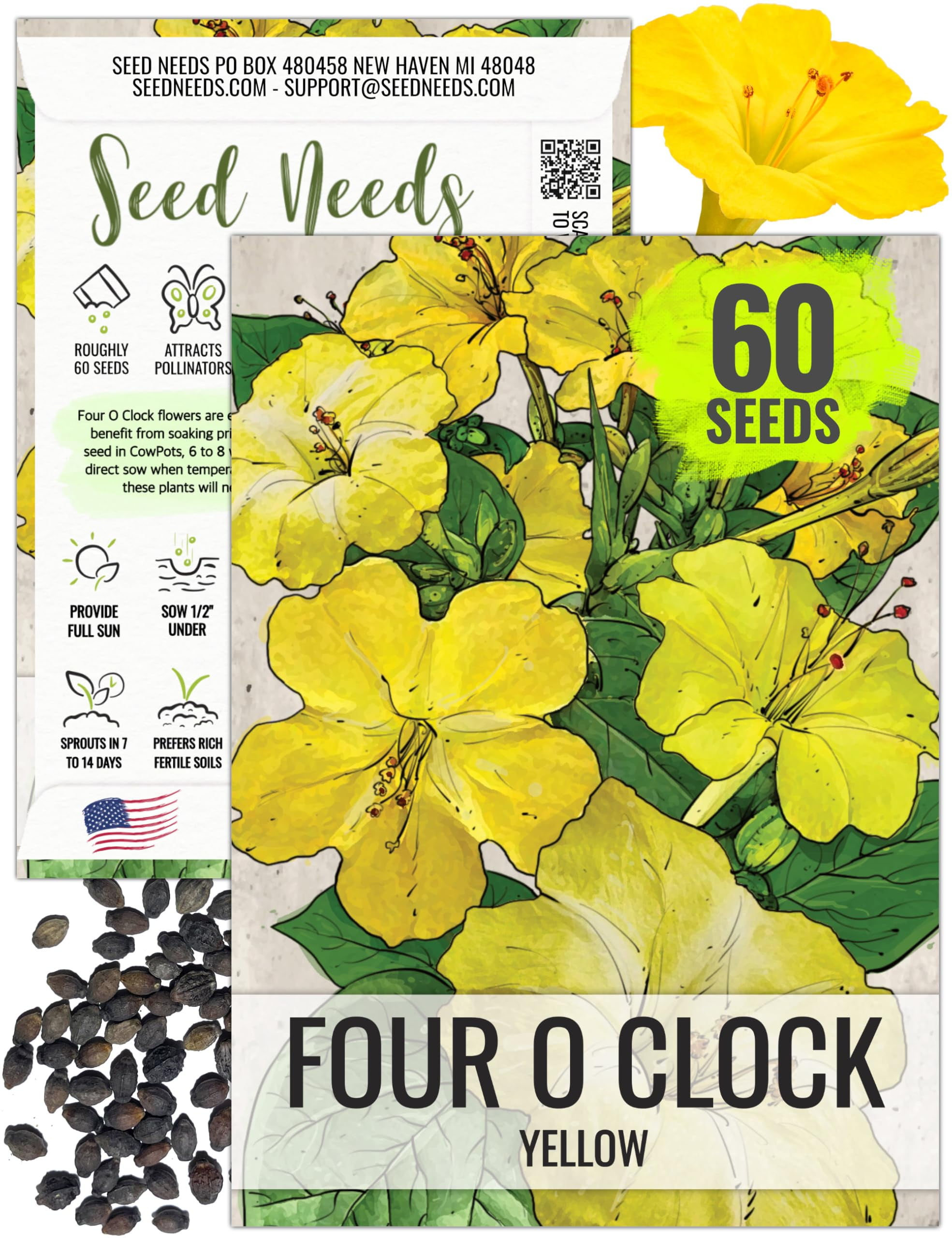 Seed Needs, Yellow AJH3 Four O' Clock Seeds - 60 Heirloom Seeds for Planting Mirabilis Jalapa ...