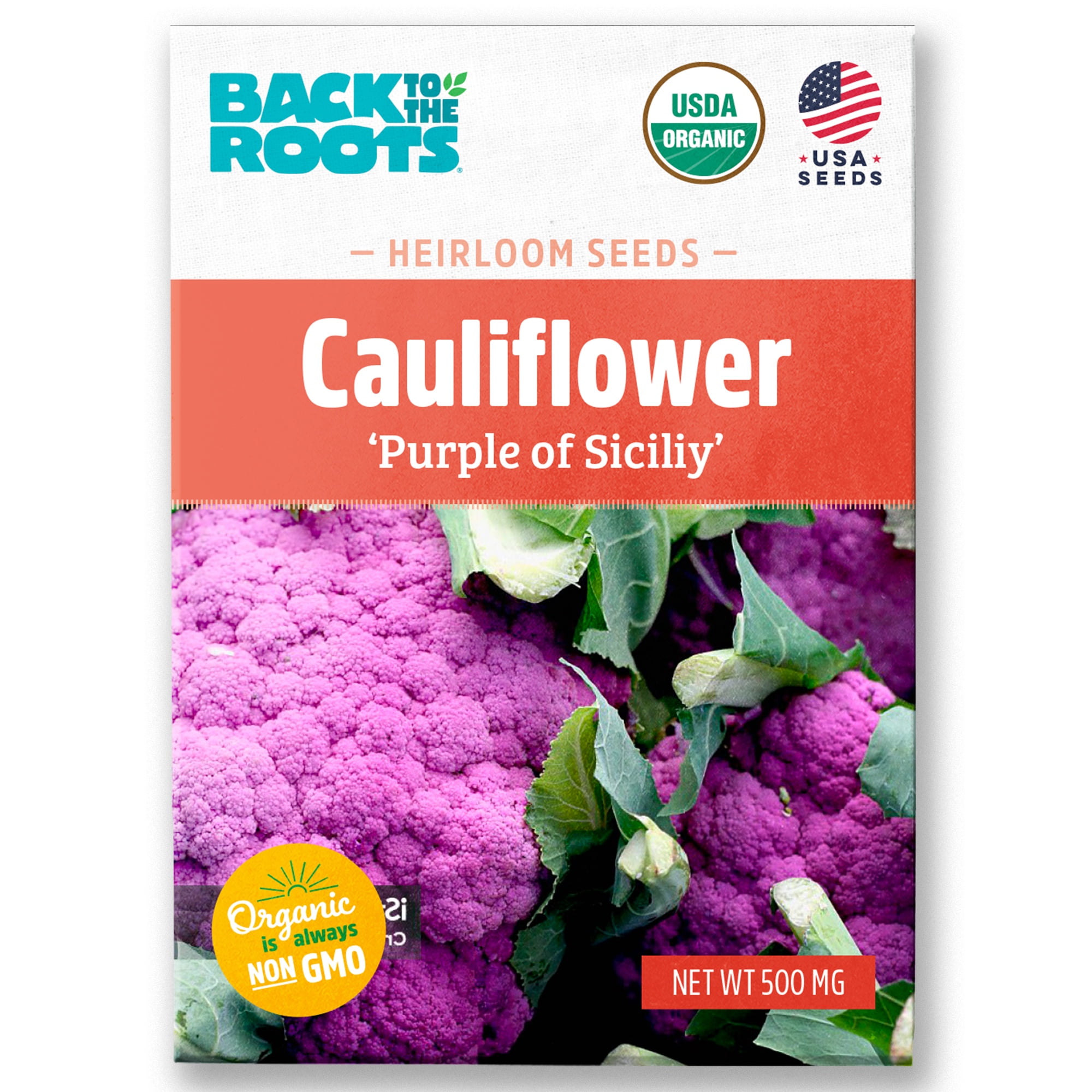 Seed Packet - Cauliflower 'Purple of Sicily' 500mg - Walmart.com