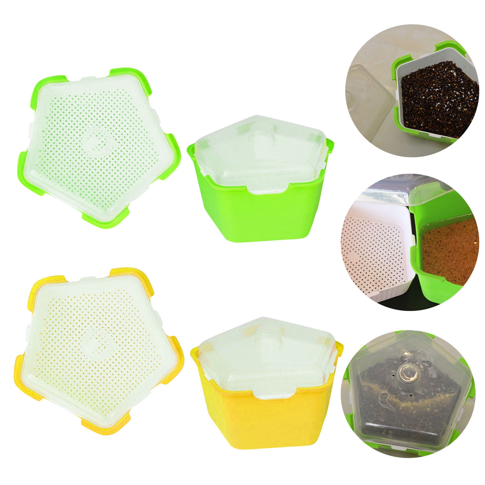 Seed Sprout Tray Growing Planter Sprout Box Permanent Hydroponics Seed ...