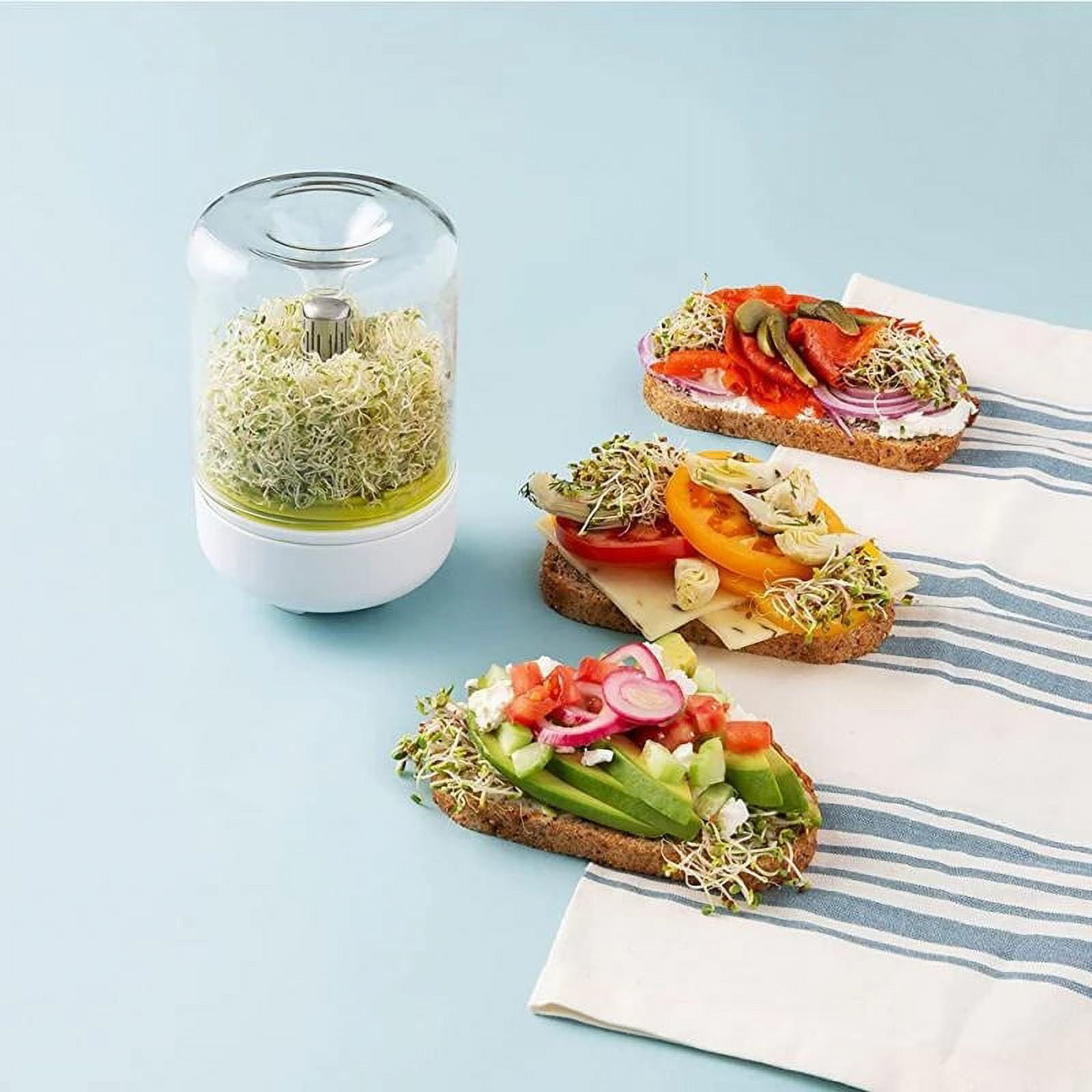 Sprouter Germination Growing Kit Sprouting Pot Jars Plant ...