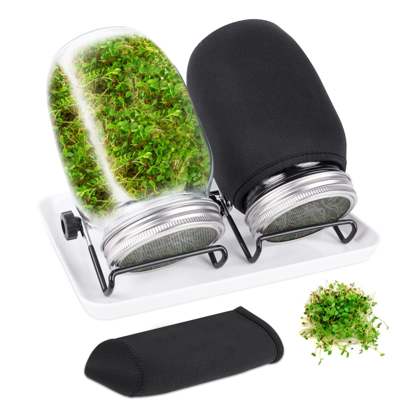 Seed Sprouting Jar Kit with 2 BSL1 Wide Mouth Mason Jars Bean Sprouts ...