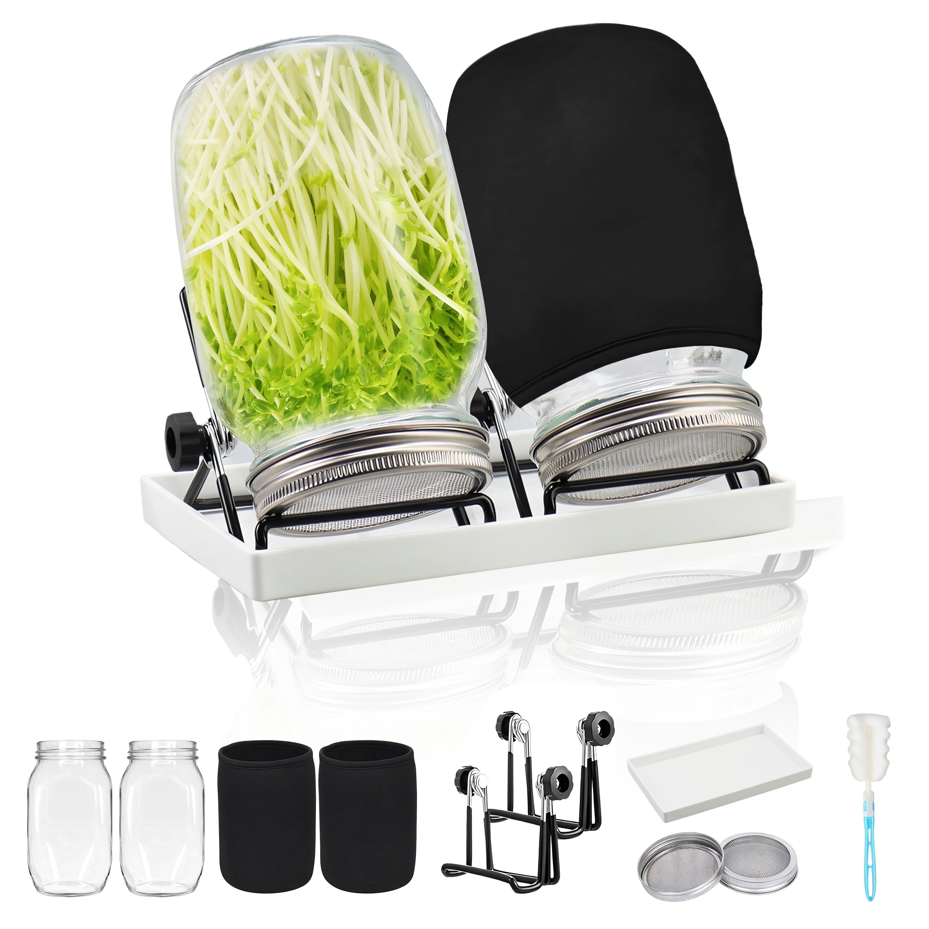 Seed Sprouting Jar Kit with Wide Mouth Mason Jars, Premium Stainless ...