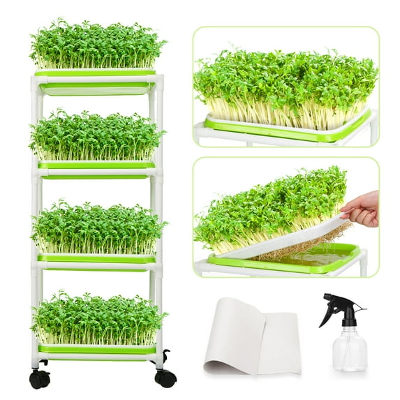 Wadeo Seed Sprouting Kit, Hydroponics Growing System, 4 Layer Sprout ...