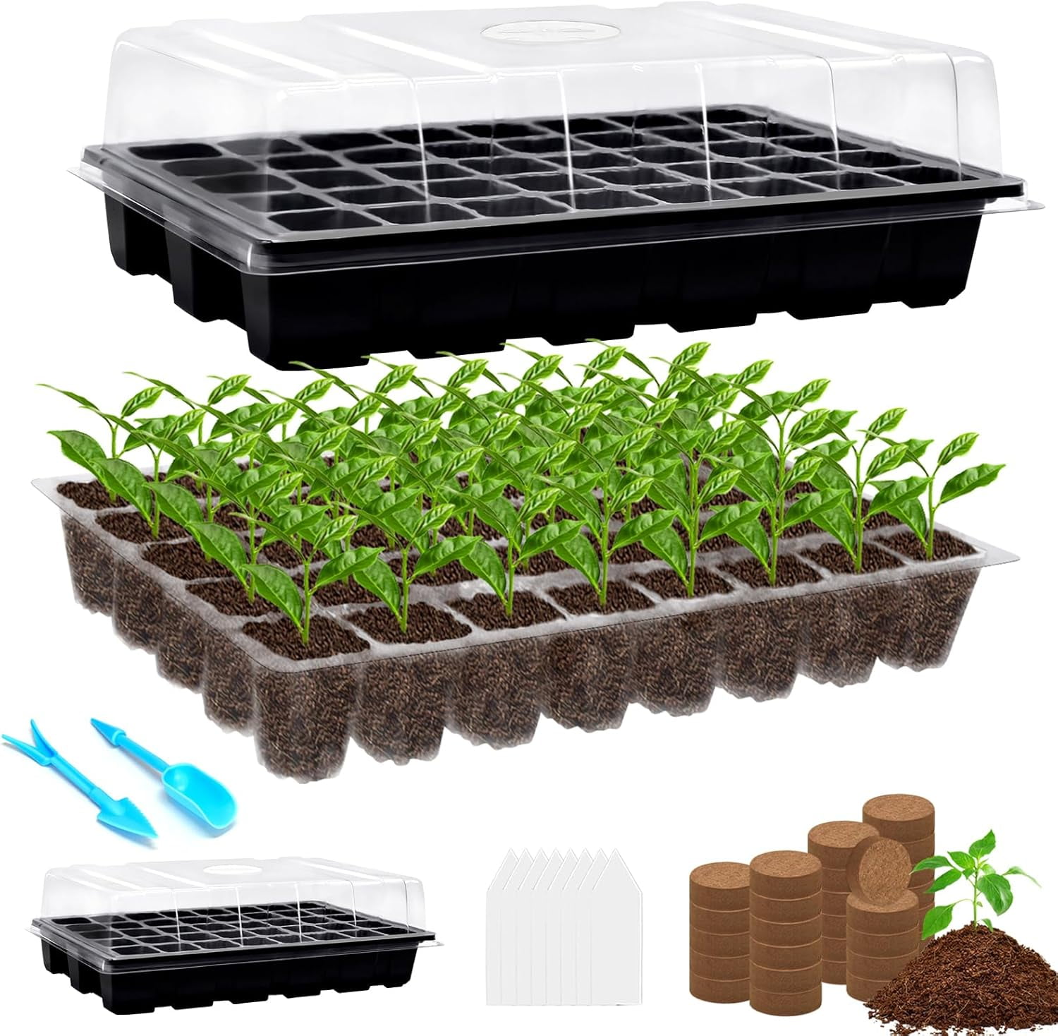 Seed Starter Kit 2 Pack 80 Cells Black Seed Starter Tray with 80 PCS ...