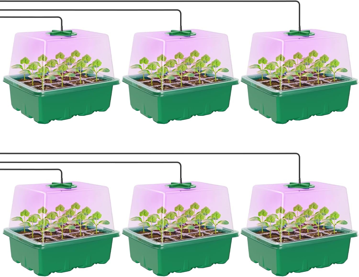 Seed Starter Kit with Grow Light, Elevated Seedling Tray Kit with ...