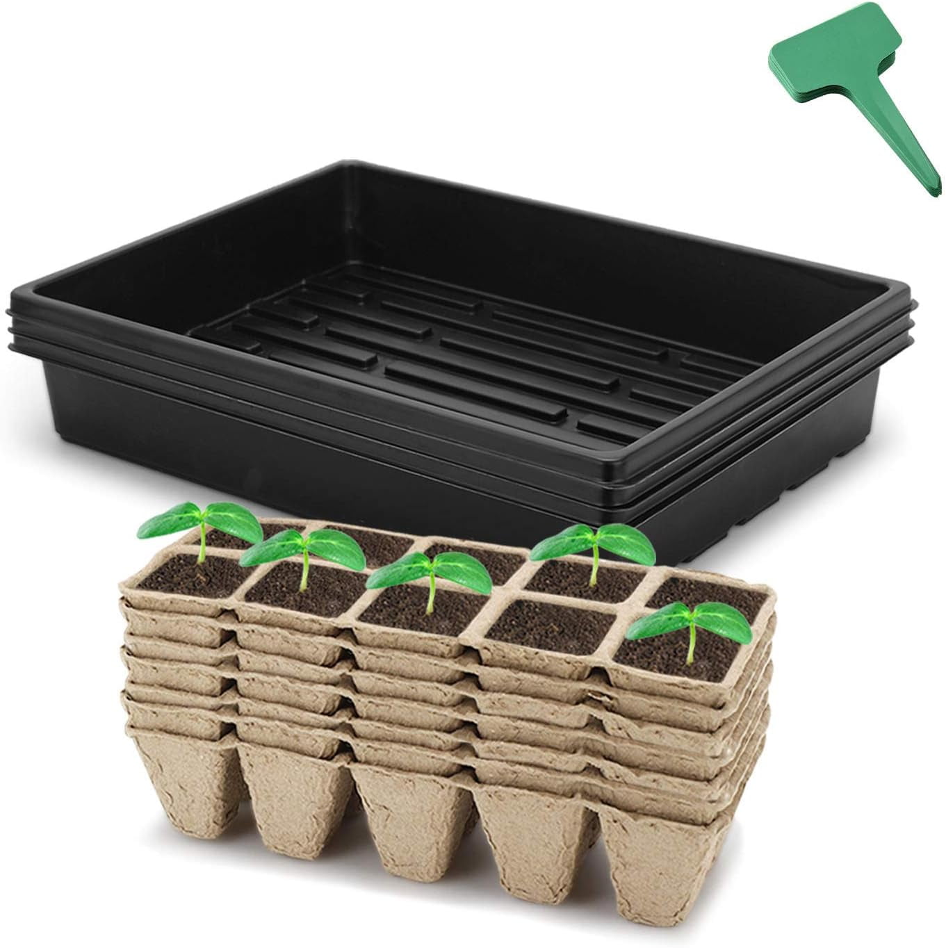 Seed Starter Kit Propagator Plant Grow Kit, Peat Pot Trays,Growing ...