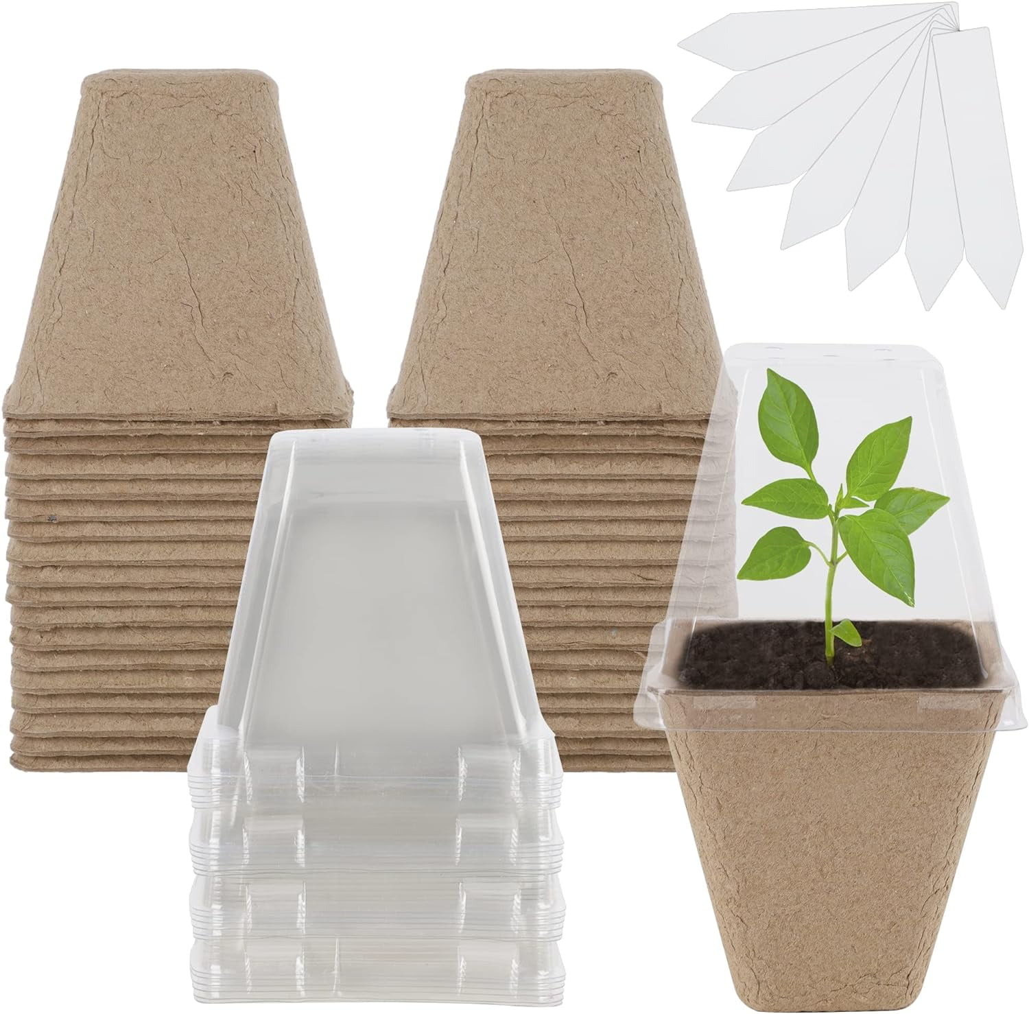 Seed Starter Peat Pots,Biodegradable with Humidity Dome and Labels For ...