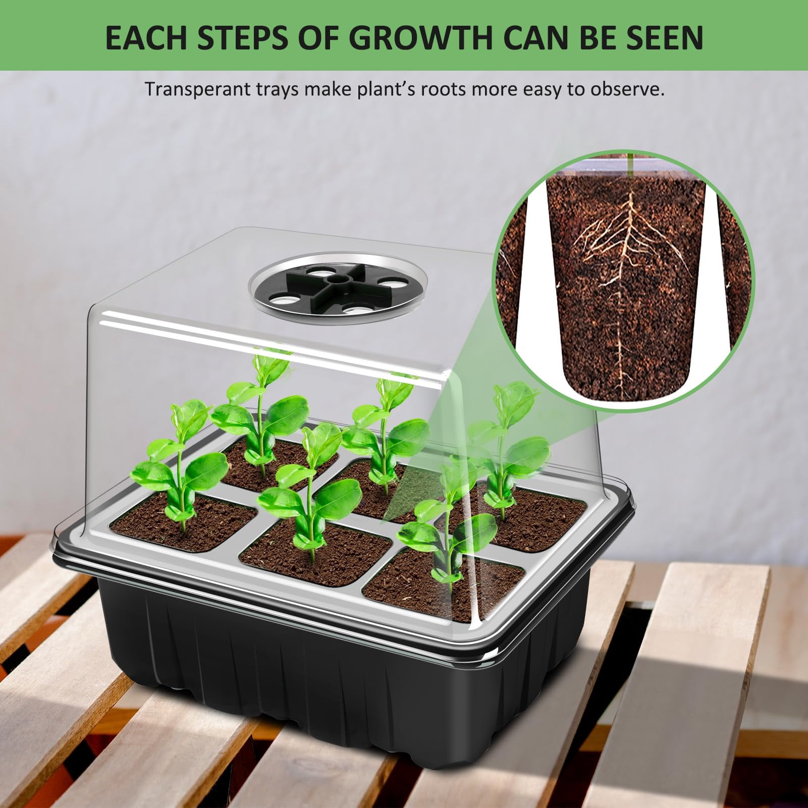 Seed Starter Tray, 5 Pack 6 Cells Seed Starter Kit, Seed Starting Trays ...
