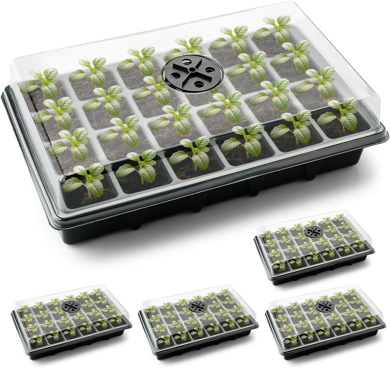Seed Starter Tray with Dome-5 Sets 24XL Cell Seedling Trays(Total 120 ...