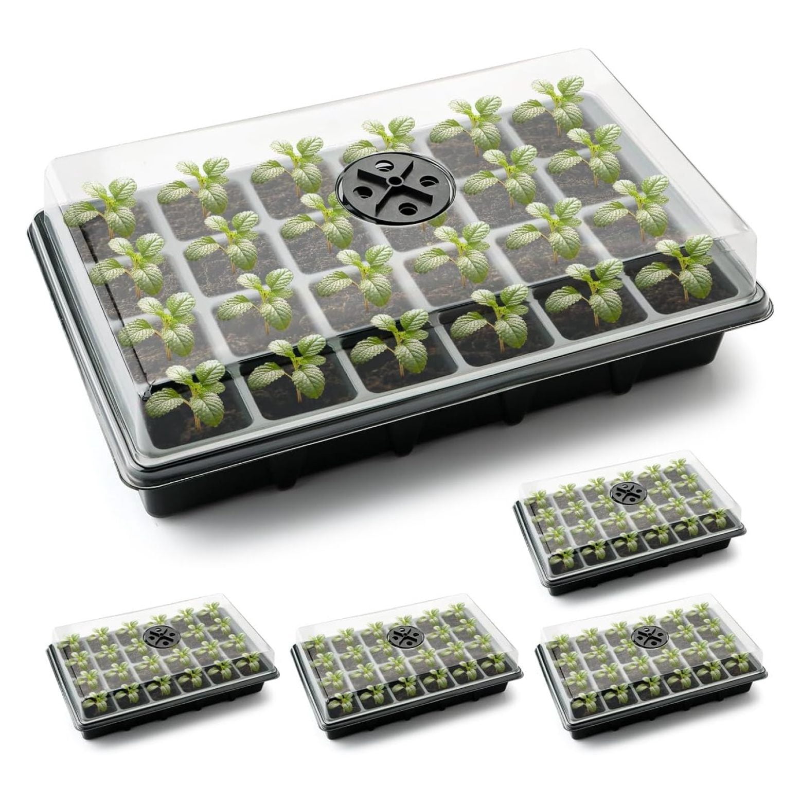 Seed Starter Tray with Dome-5 Sets 24XL Cell Seedling Trays(Total 120 ...