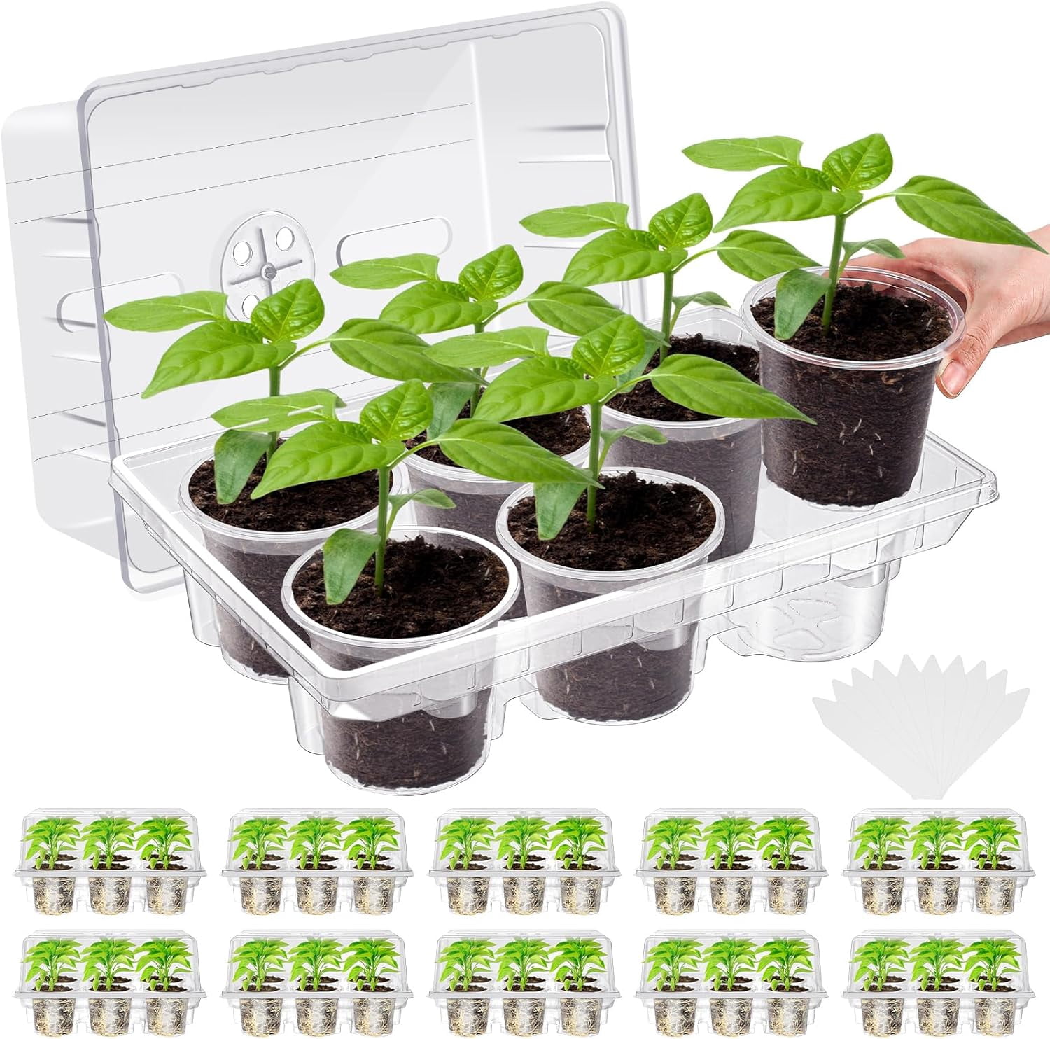 Seed Starter Tray Kit: 10 Pack with Seedling Trays, 4 Inch Nursery Pots ...