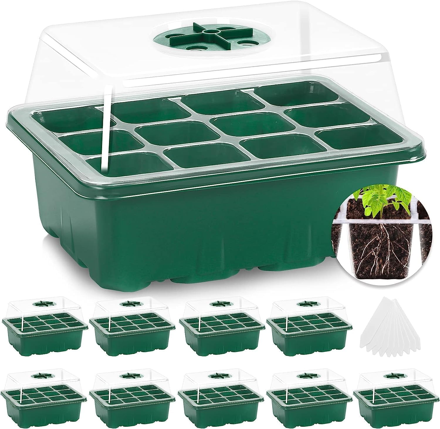 Seed Starter Tray Seed Starter Kit with Humidity Dome Seed Starting ...