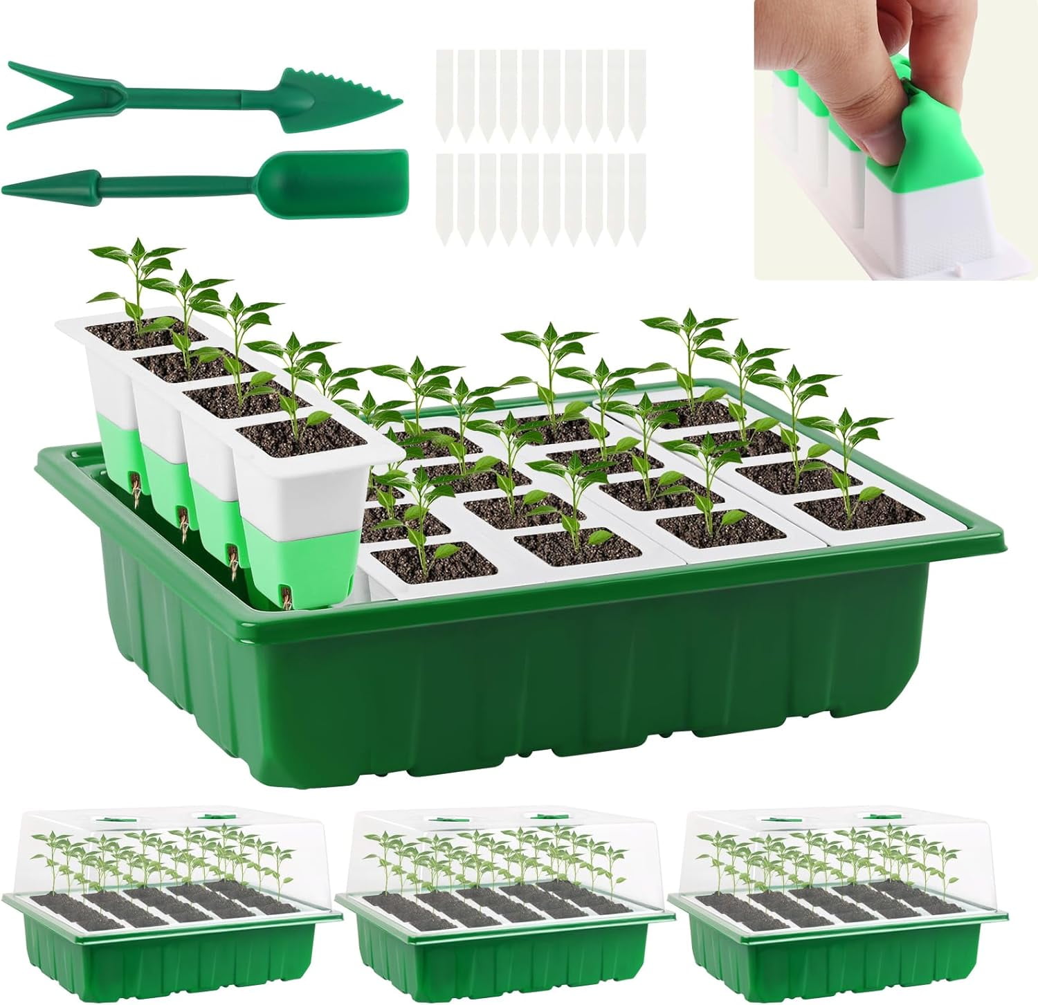 Seed Starter Tray with Soft Silicone Cells, 80 Cells Seedling Trays ...