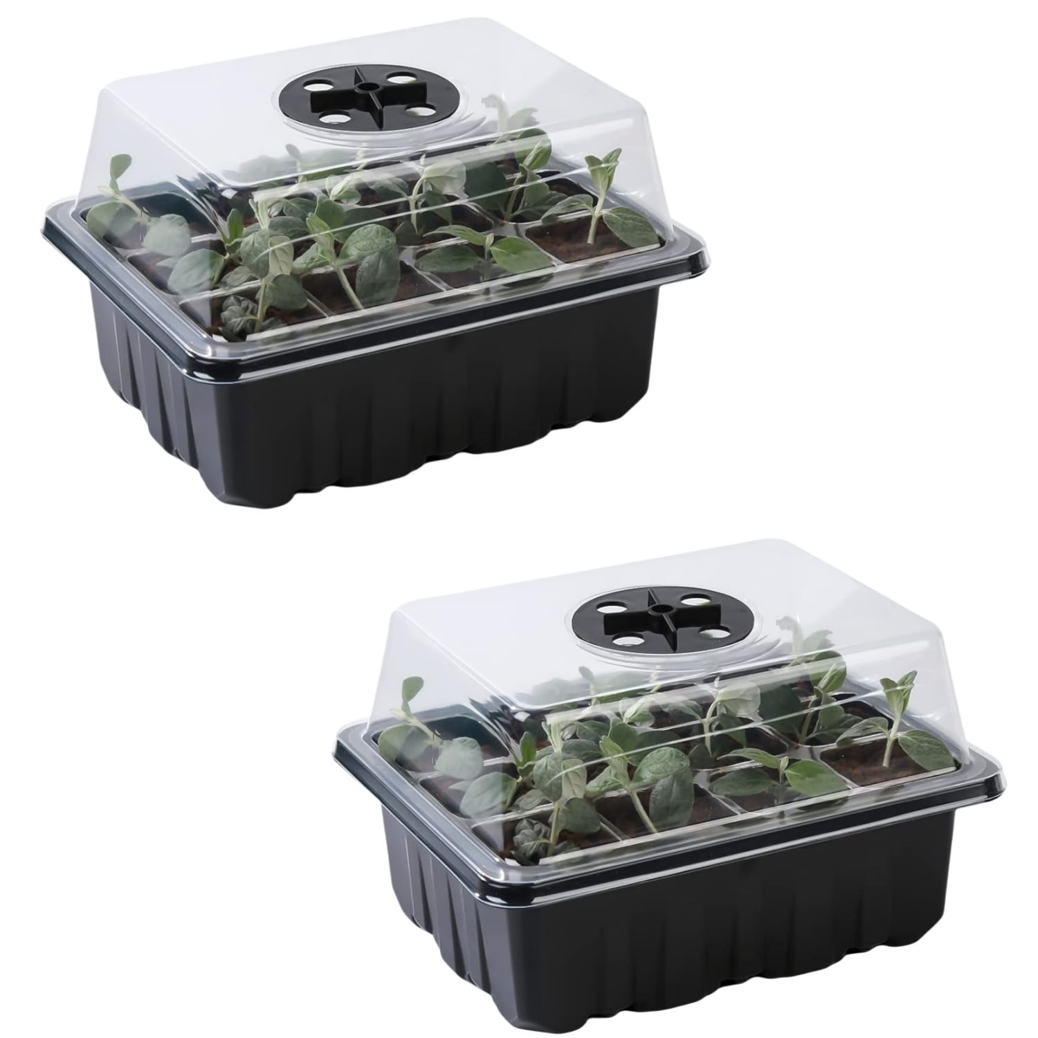 Seed Starter Trays,12 Cells x 2 Packs Seeds Growing Starting Trays ...