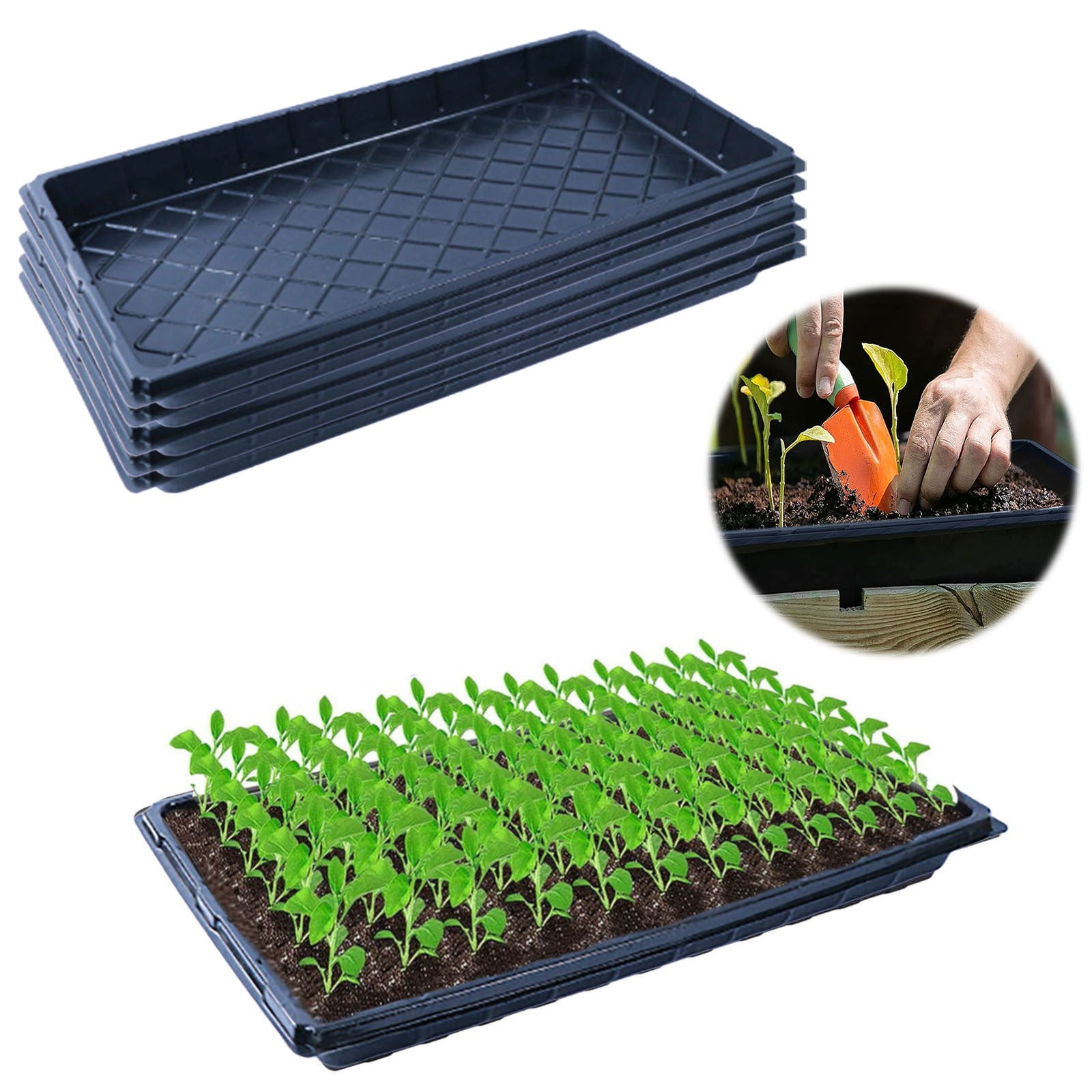 Seed Starting Trays (5 Pack) - Black Plastic Propagation Trays for ...
