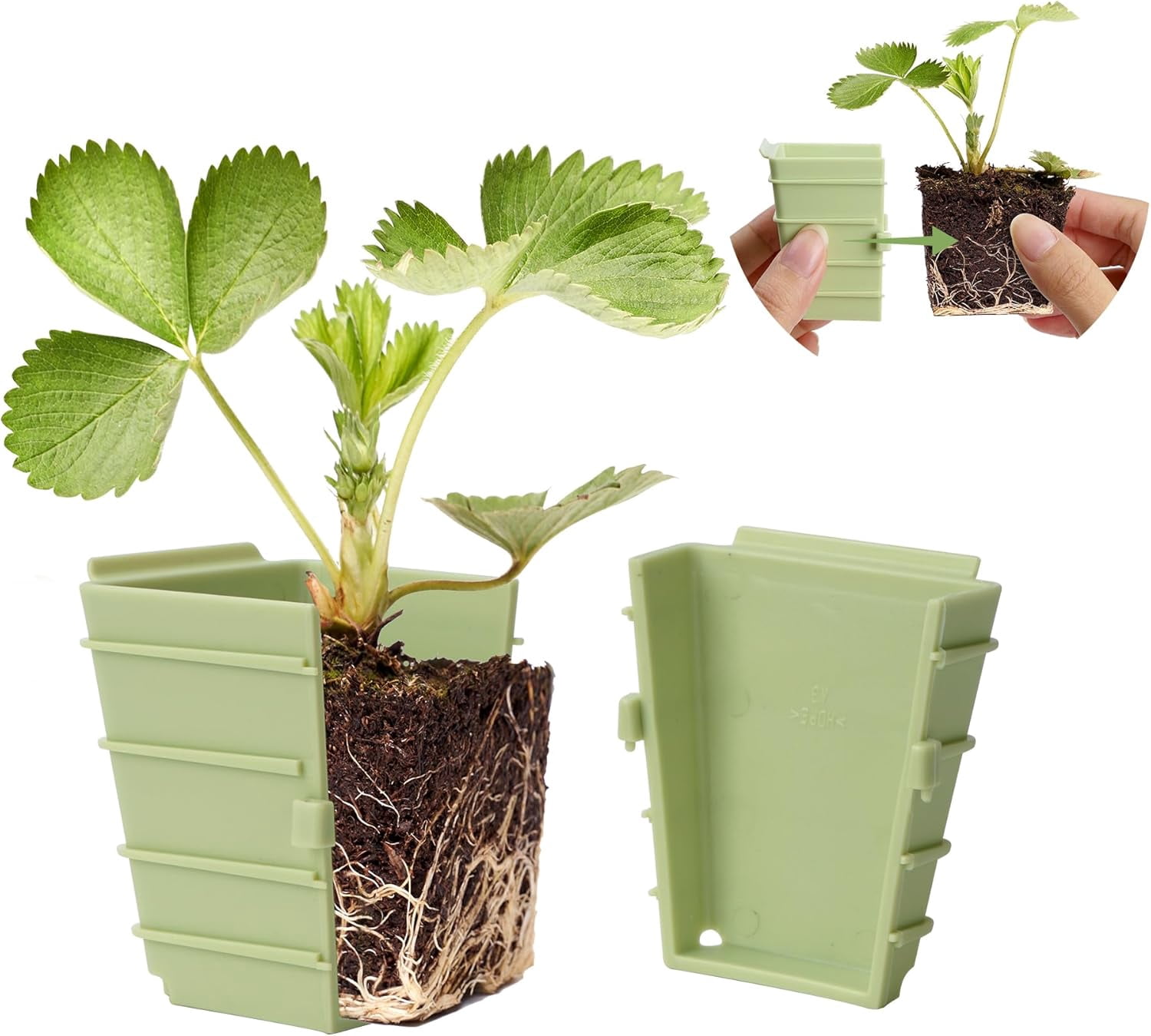 Seed Starting Trays, Flower Pots Reusable Gardening Germination Grow ...