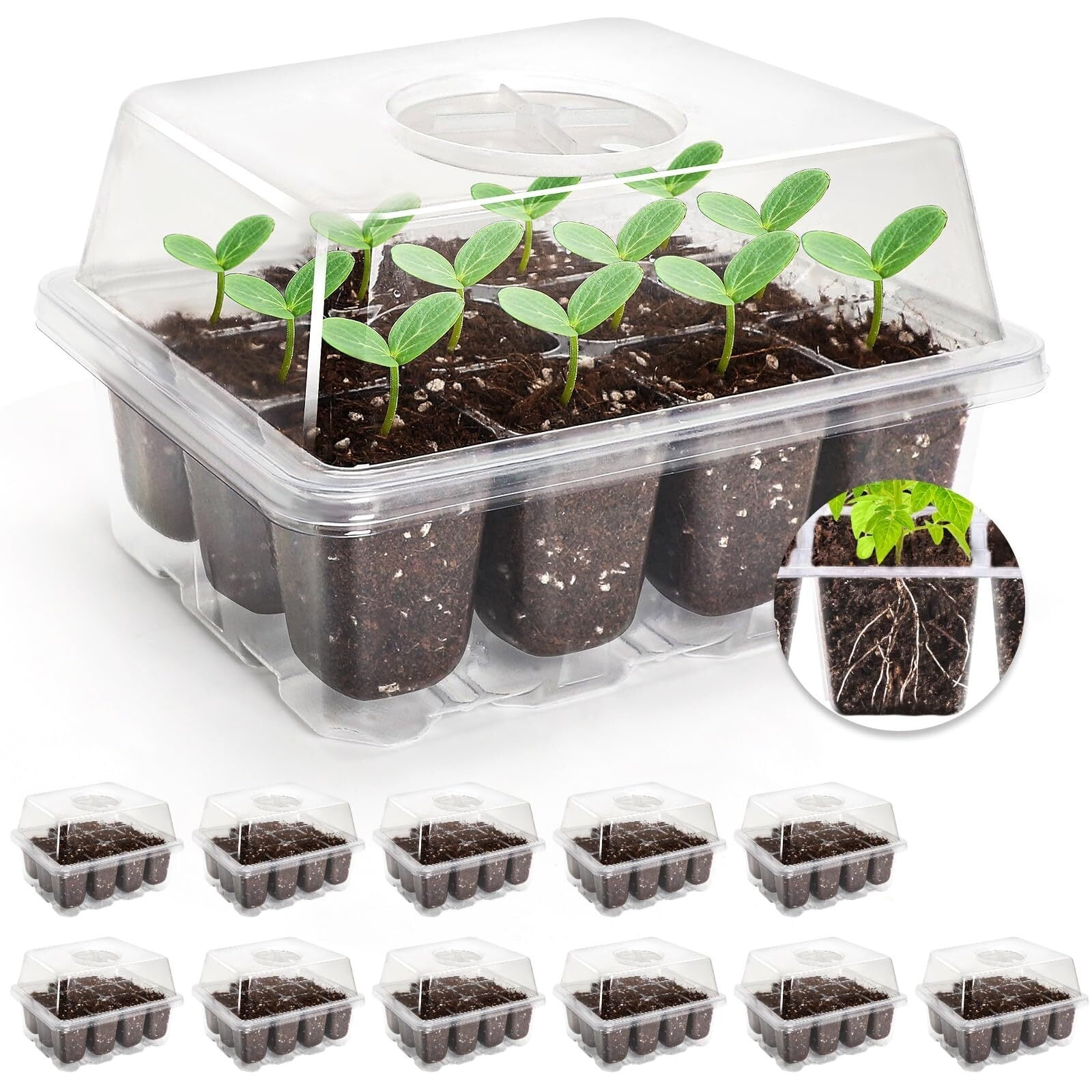 Seed Starting Trays Plant Starter Box,Mini Greenhouse Germination Kit ...