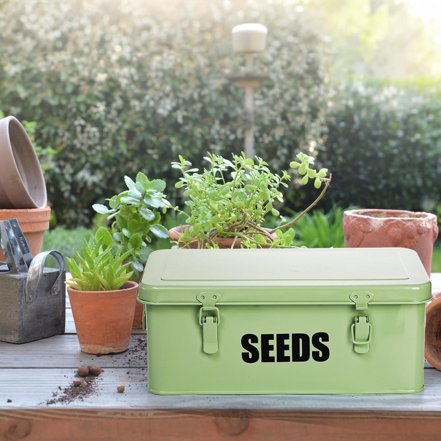 Seed Storage Organizer Box with 4 Compartments, Large Metal Seed Packet ...