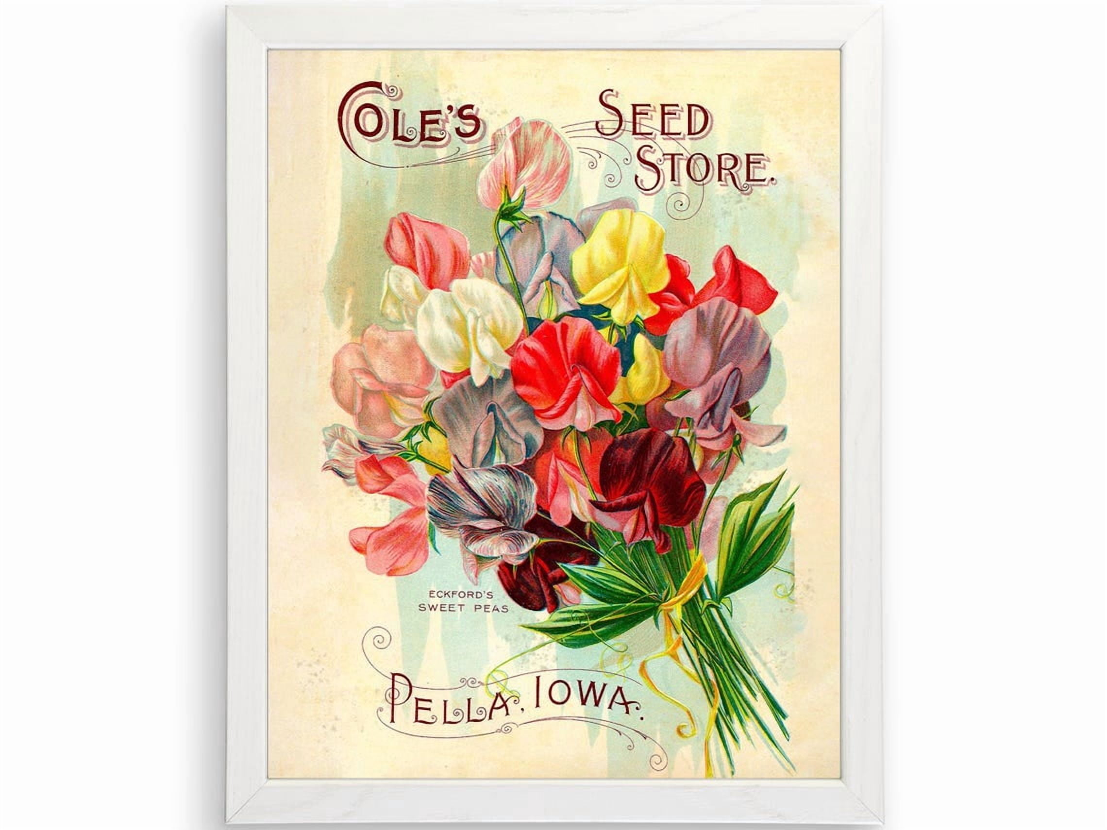 Seed Store Art Print Vintage Floral Sweet Pea Kitchen Or Garden Room ...