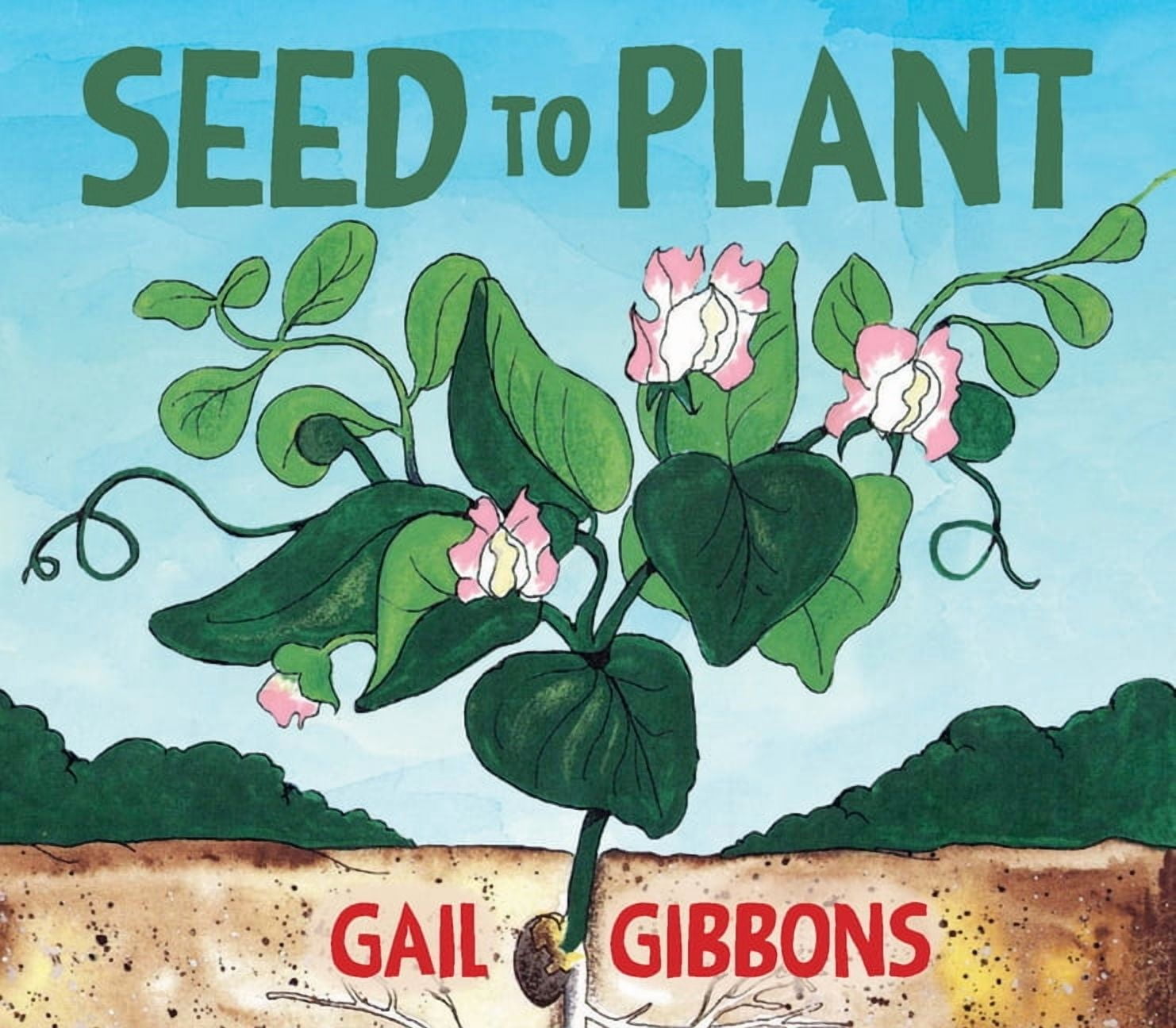 Seed to Plant: An Engaging Introduction to Seeds and Their Life Cycle ...