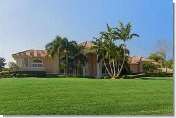 SeedRanch Argentine Bahia Lawn Grass Seed - 5 Lbs. - Walmart.com