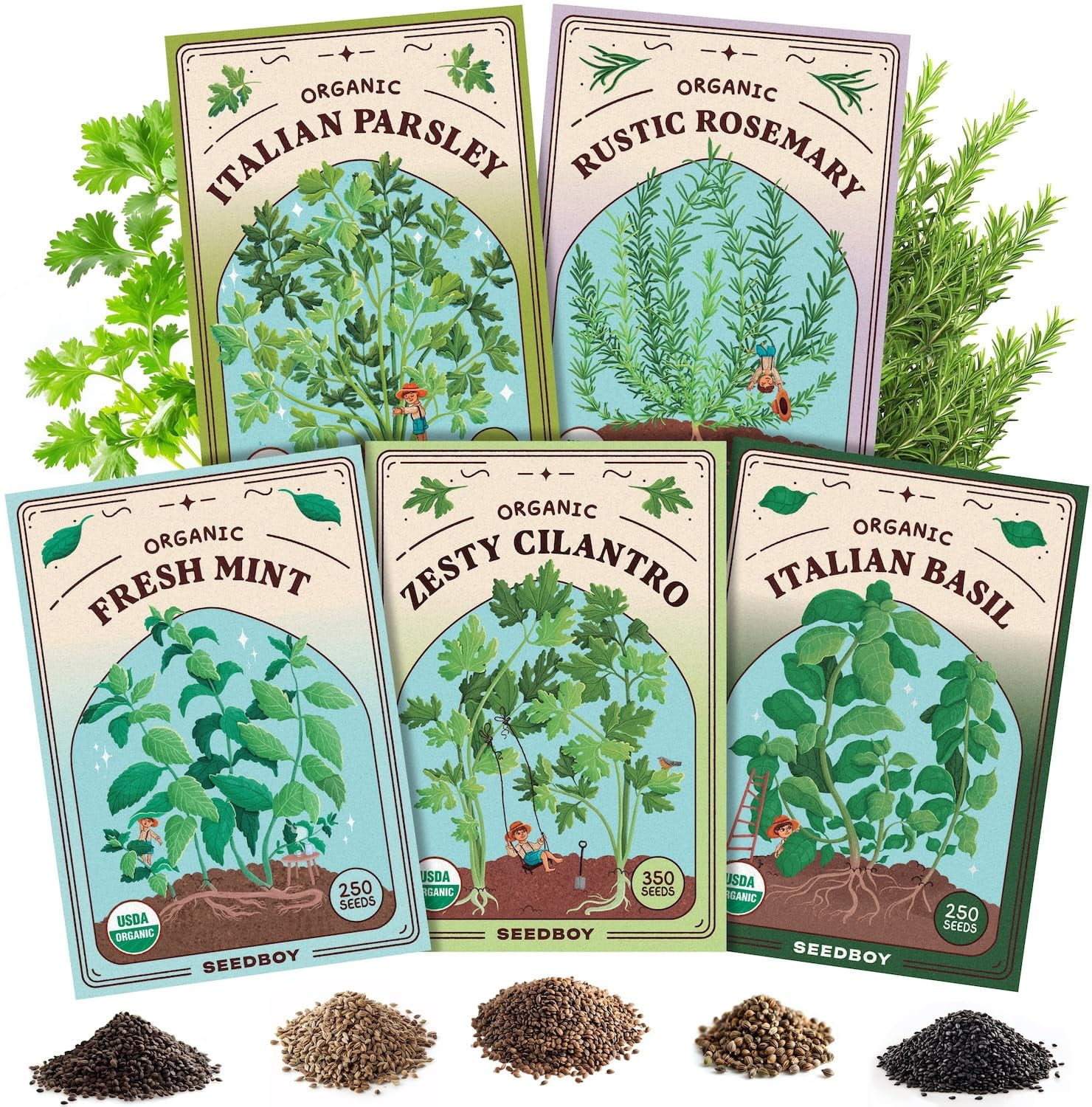 Seedboy Organic 5 Herb Variety Pack: Basil, MHD1Mint, Rosemary, Parsley ...