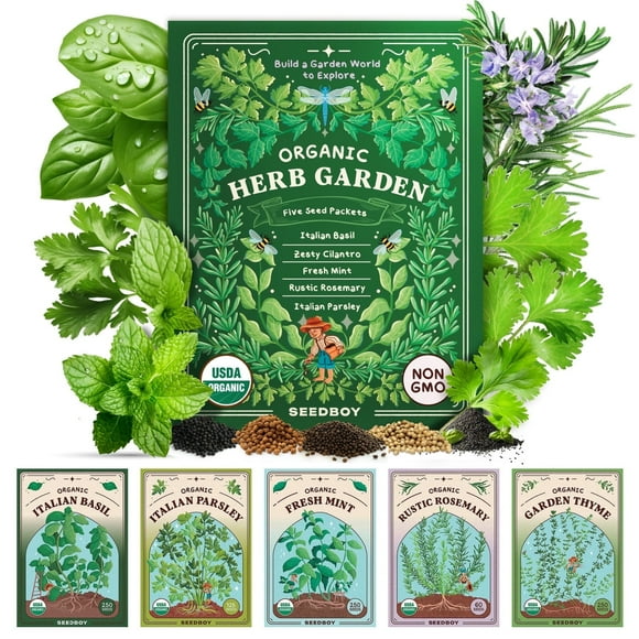 Cilantro Seeds in Seed Gardening - Walmart.com