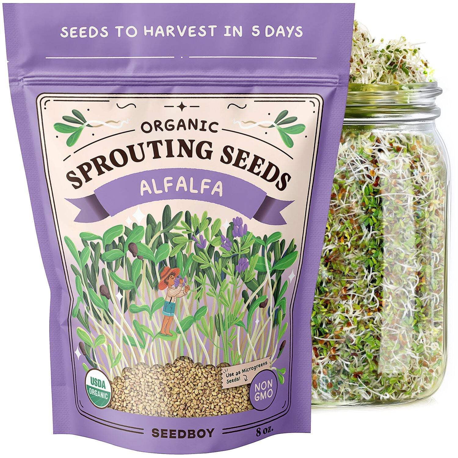 Seedboy Organic Alfalfa Seeds for Sprouting - Non-GMO, USA Grown ...