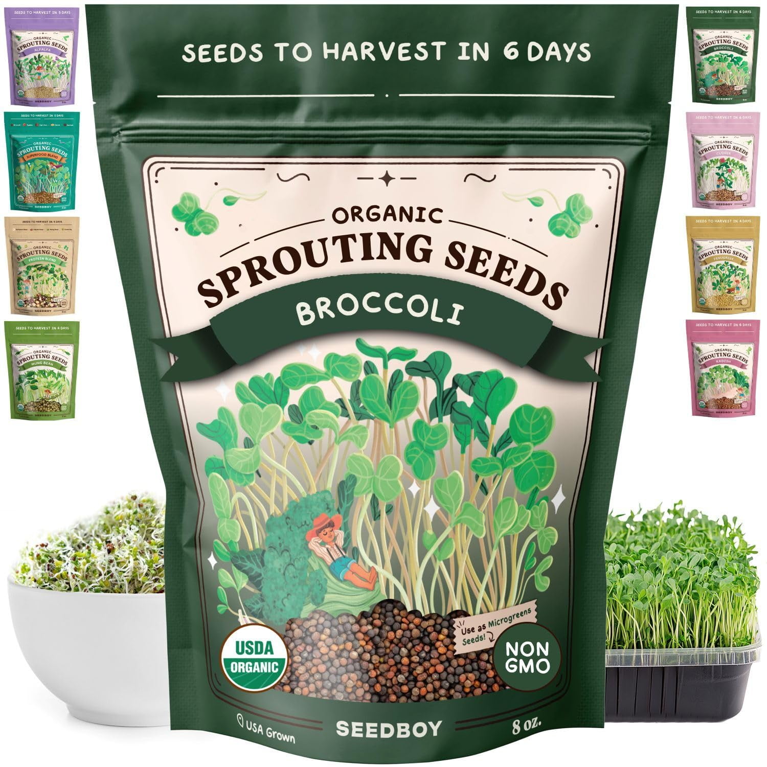 Seedboy Organic Broccoli Seeds for Sprouting AIS1 - Non-GMO, USA Grown ...