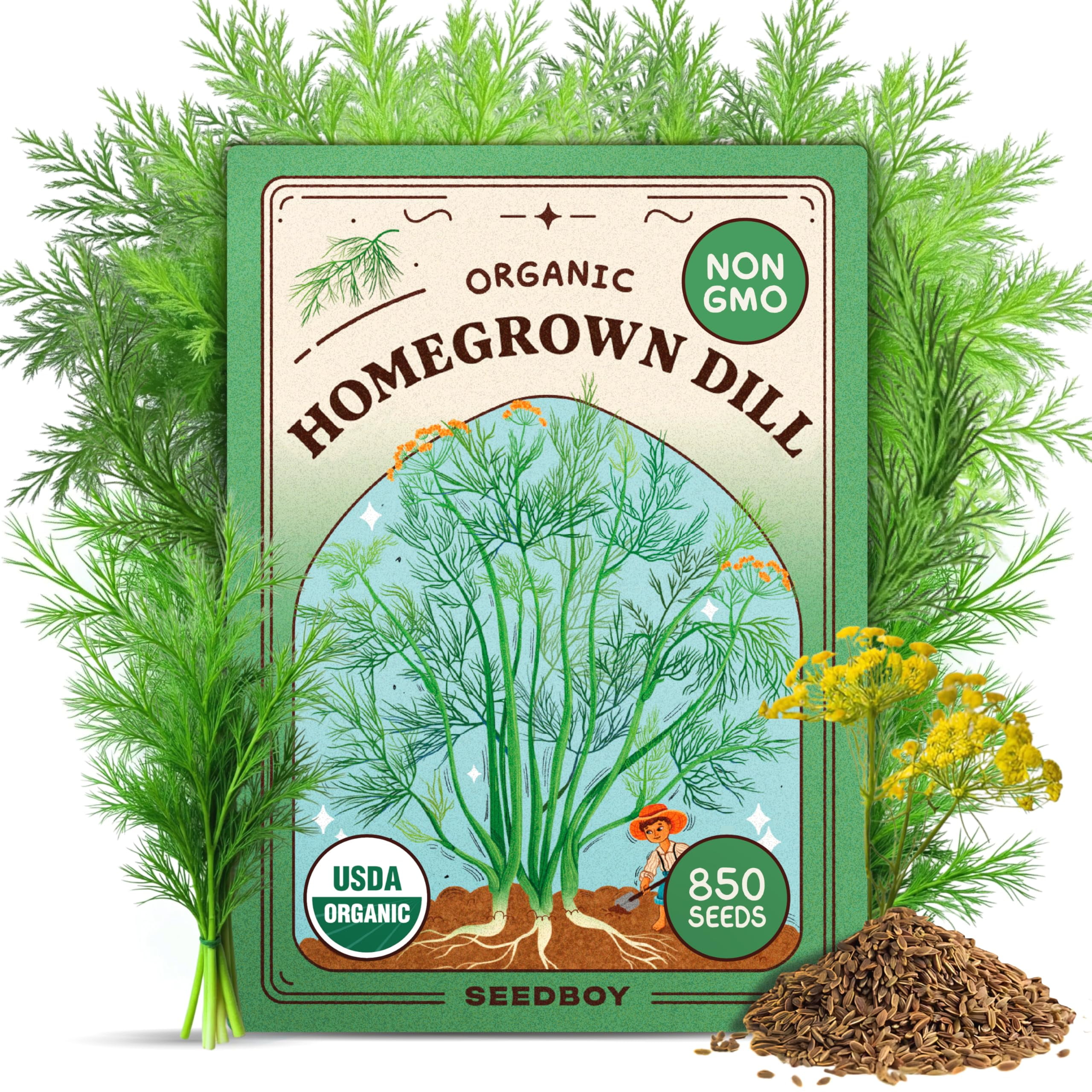 Seedboy Organic Dill Seeds for Planting Indoor and Outdoor, Non-GMO and ...