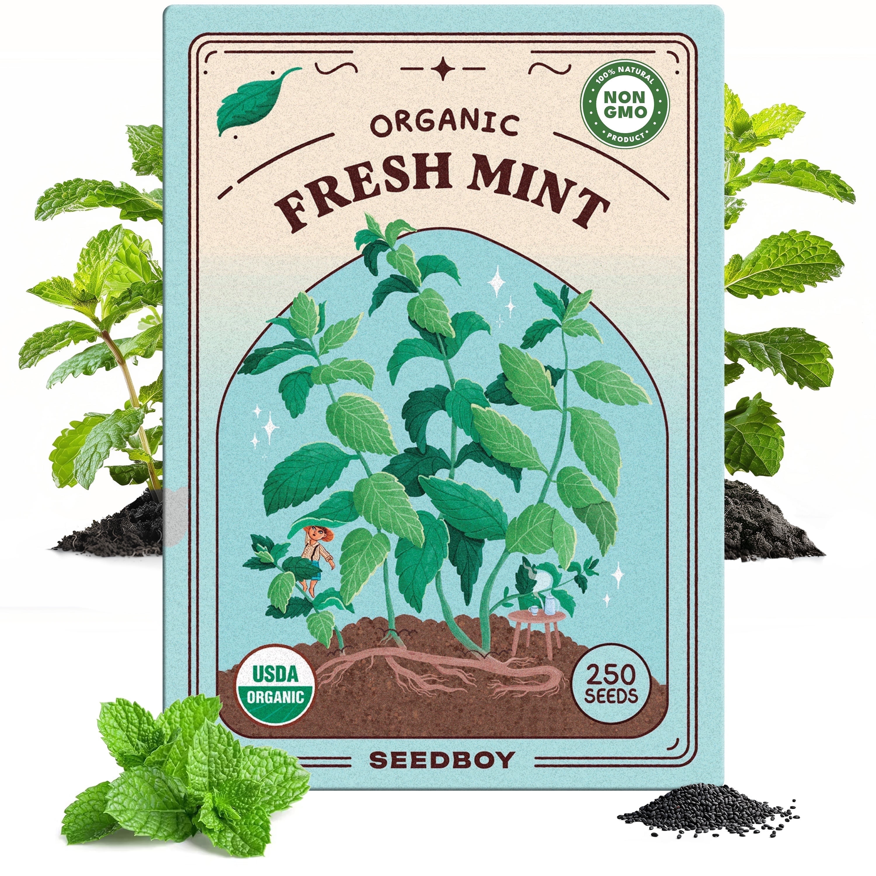 Seedboy Organic Mint Herb Seeds for Indoor Gardening or Planting ...