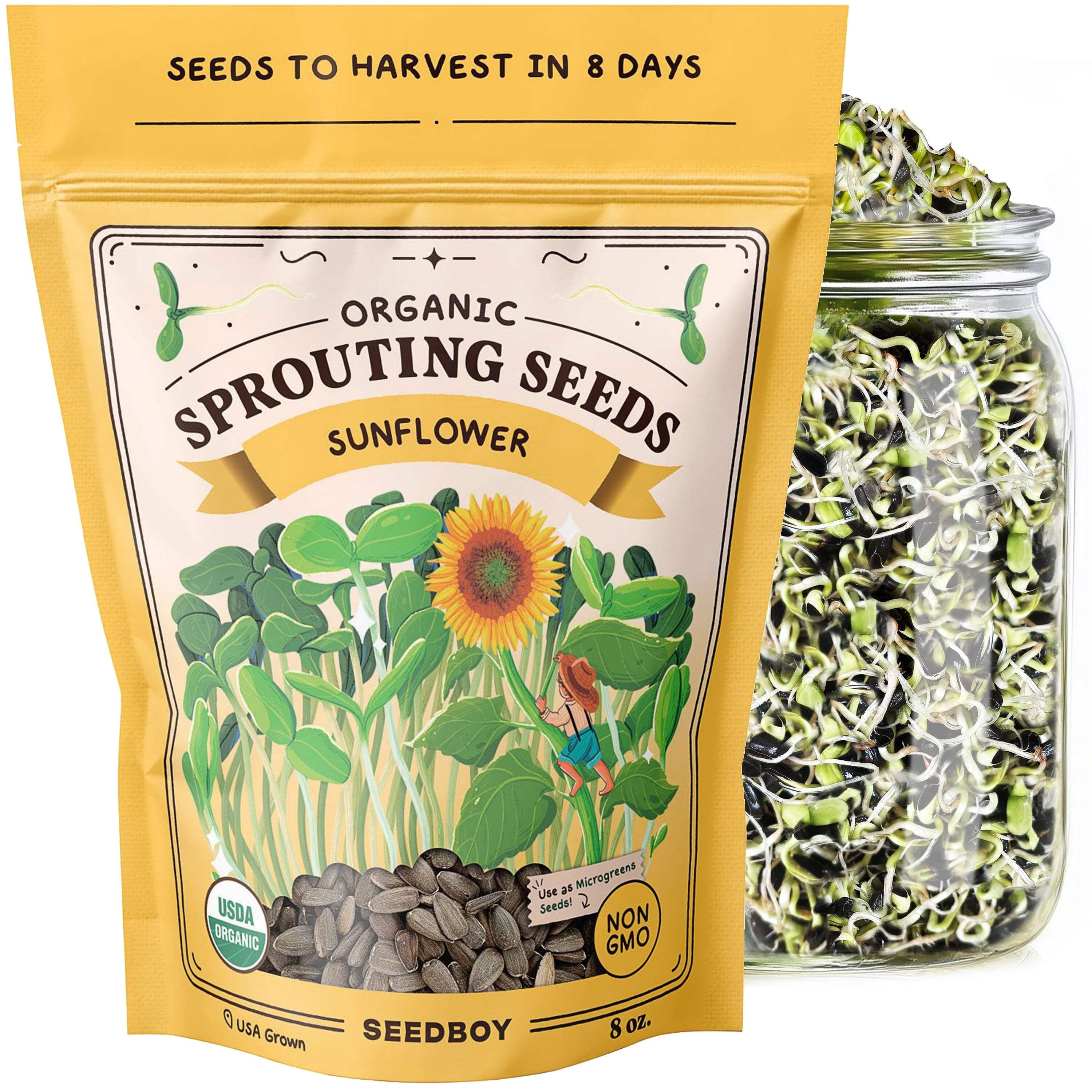 Seedboy Organic Non-GMO Black Oil Sunflower Sprouting Seeds, USA Grown ...