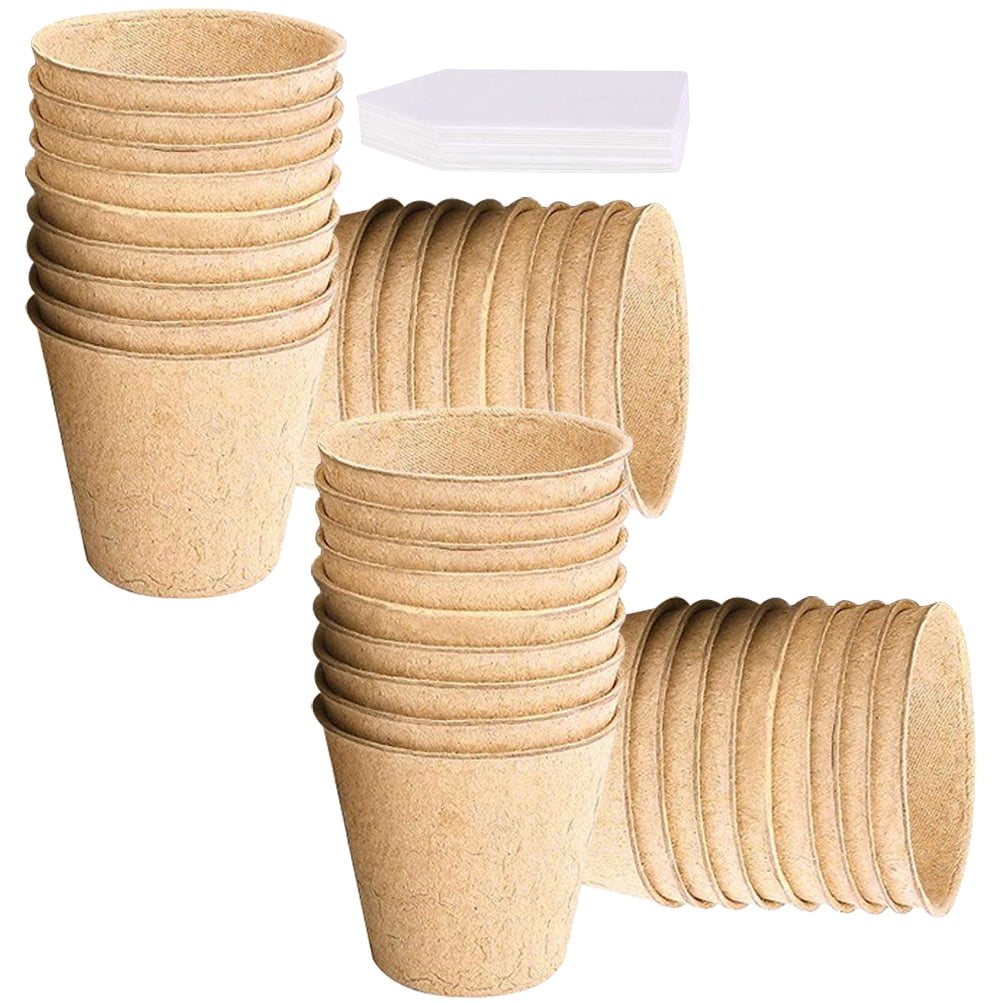 Seedling Paper Cup Germination Gardening Supply House Plants Indoor ...