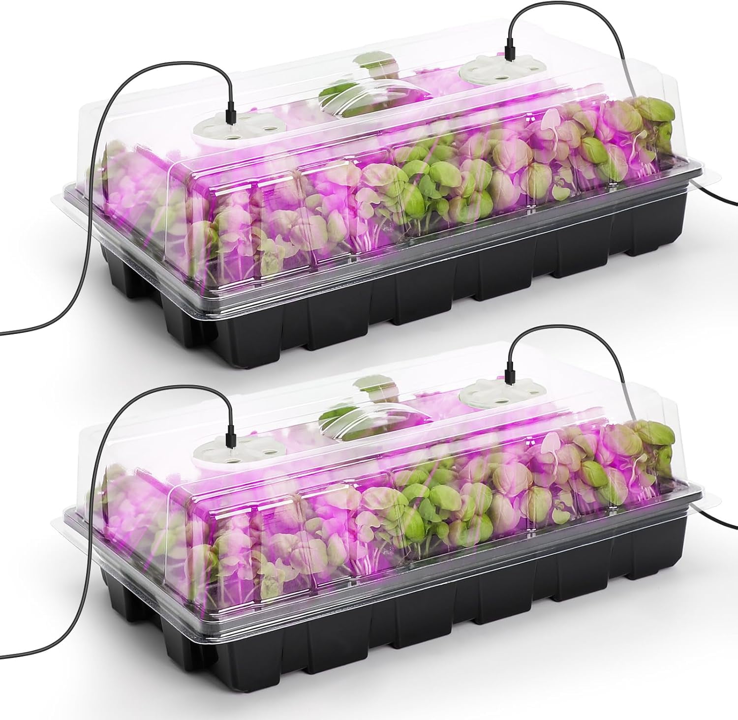 Seedling Tray Seed Starting Tray, 5 Pack Mini Propagator Plant ...