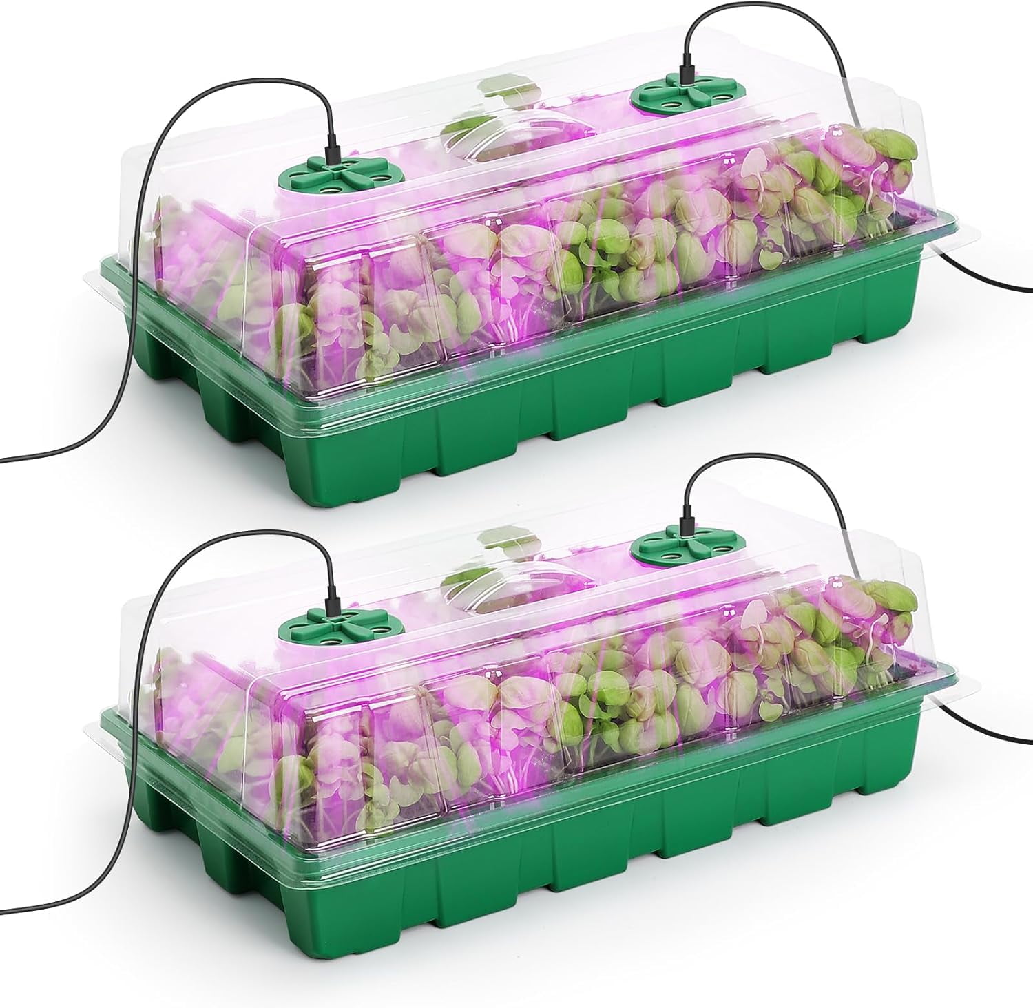 Seedling Tray Seed Starting Tray, 5 Pack Mini Propagator Plant Grow Kit ...